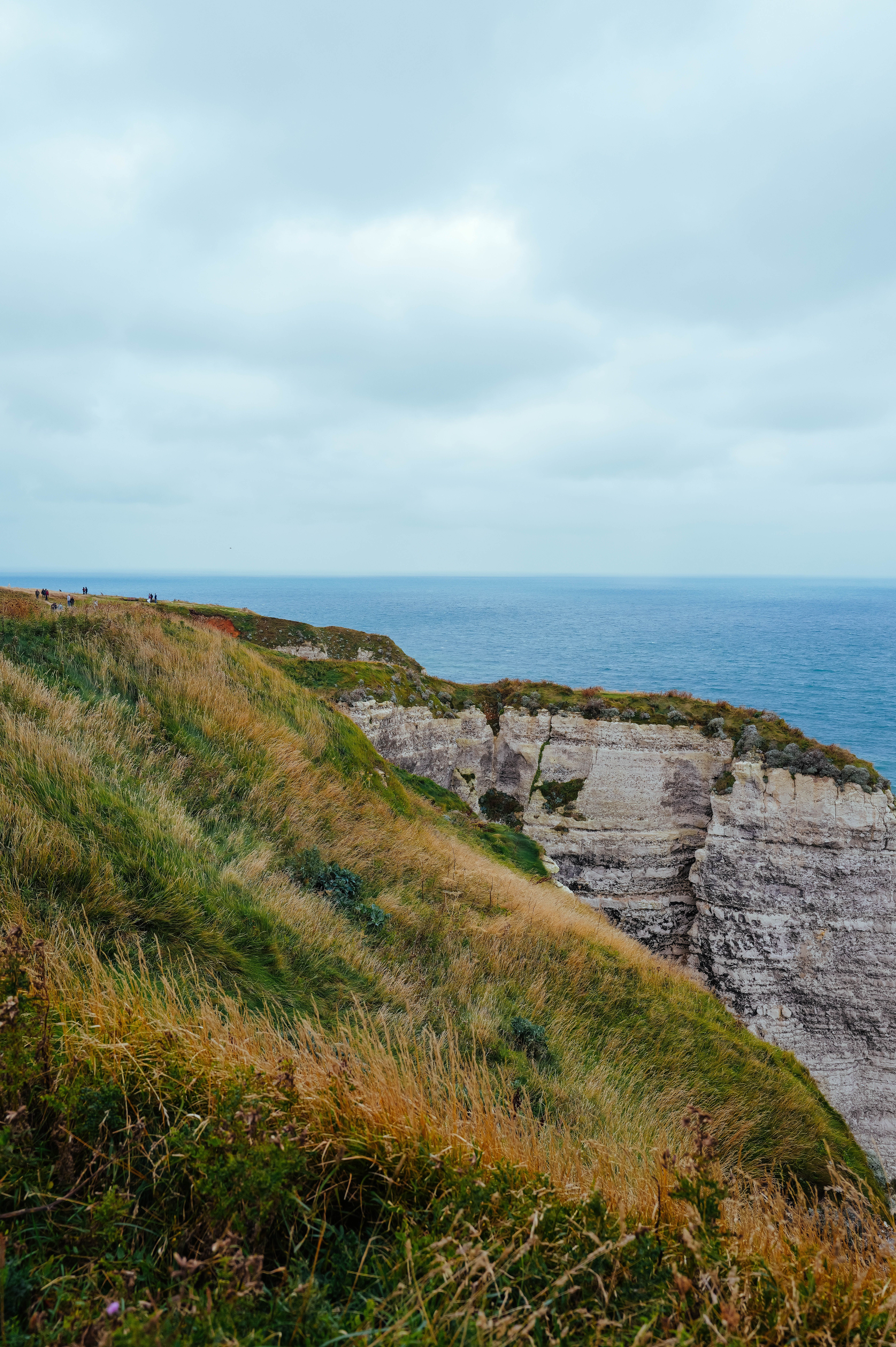 Breathtaking Coastal Cliffs Overlooking the Ocean · Free Stock Photo