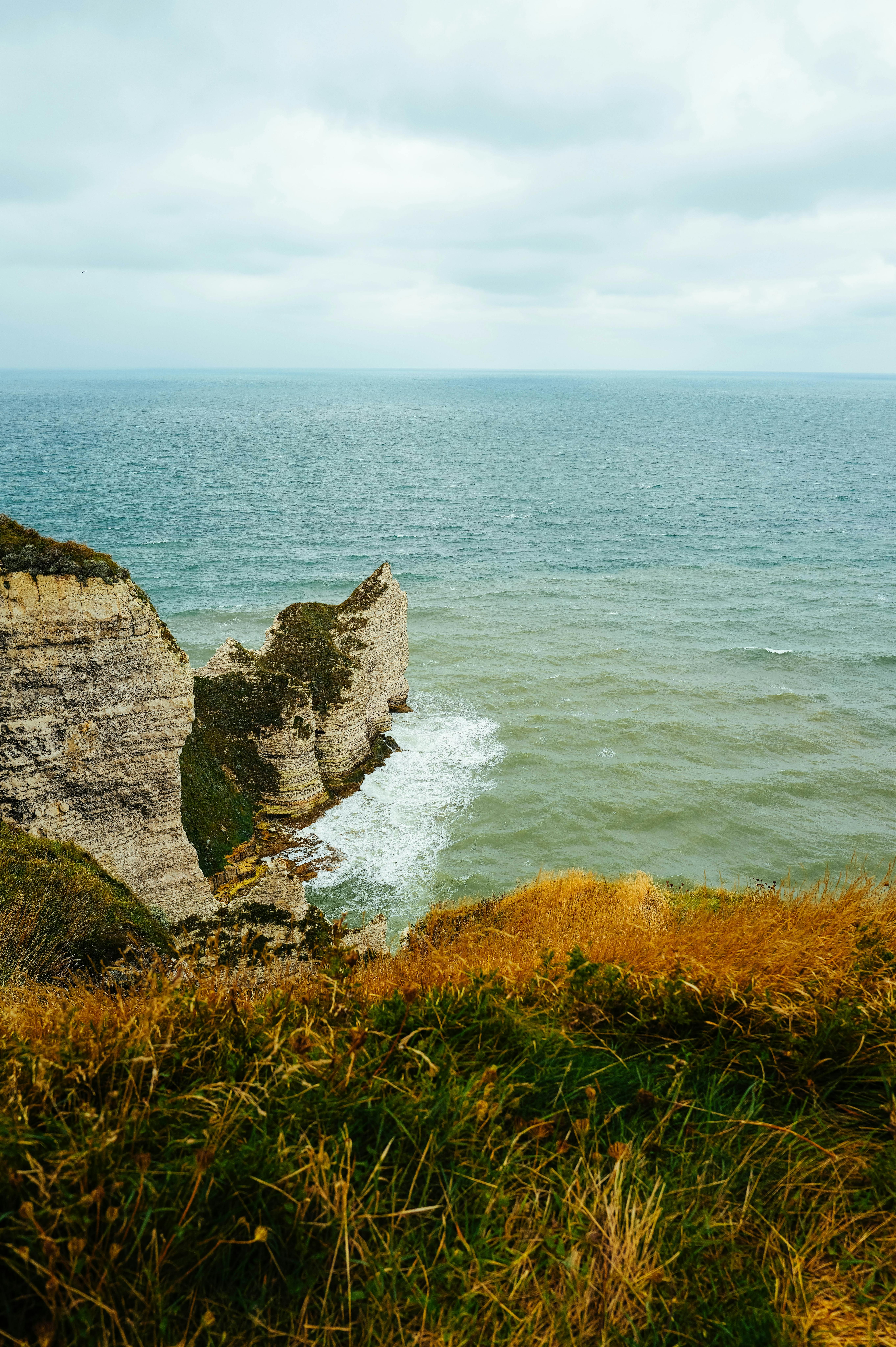Dramatic Cliffs Overlooking the Ocean · Free Stock Photo