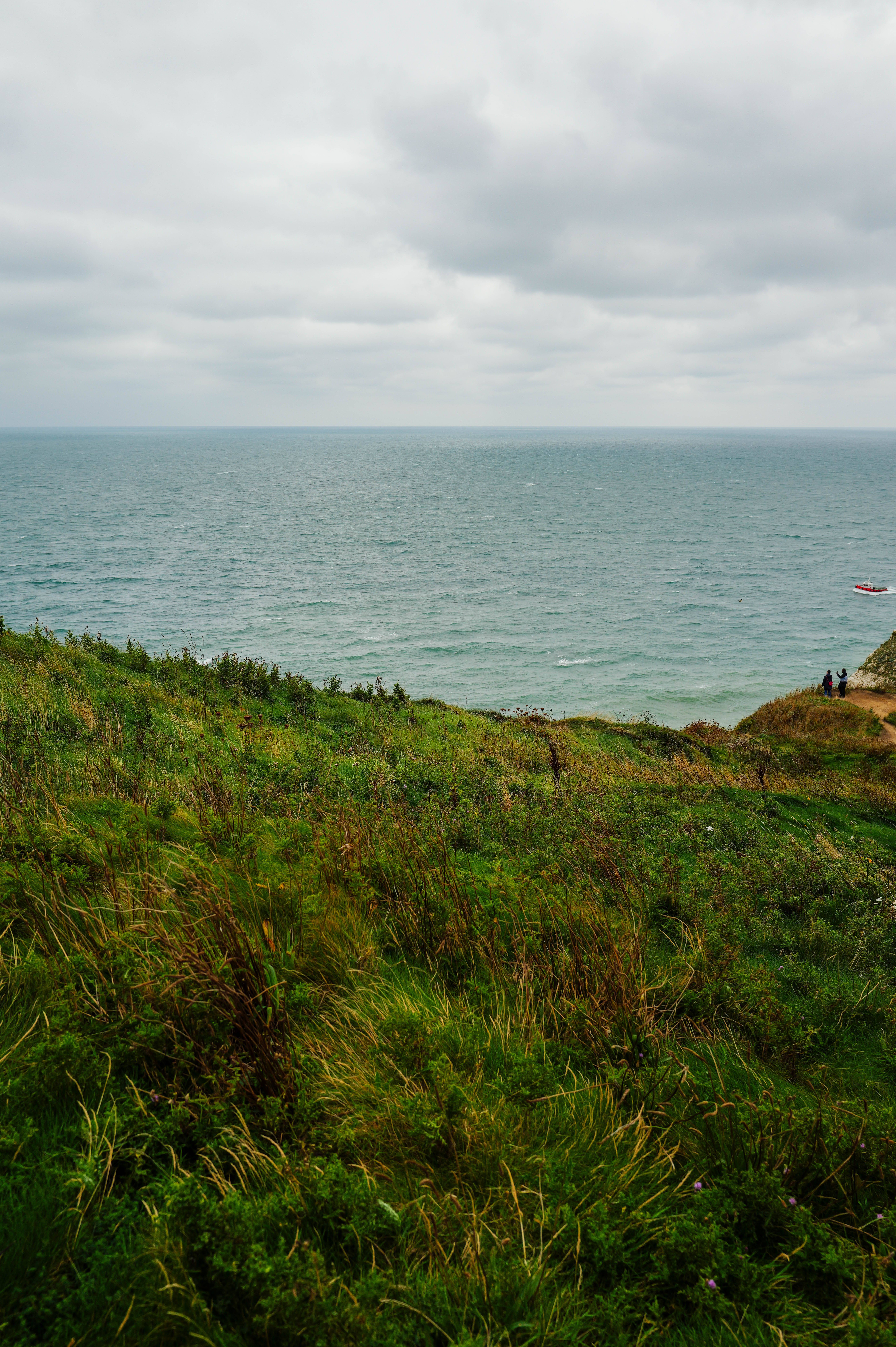 Coastal Landscape with Green Cliffs and Sea View · Free Stock Photo