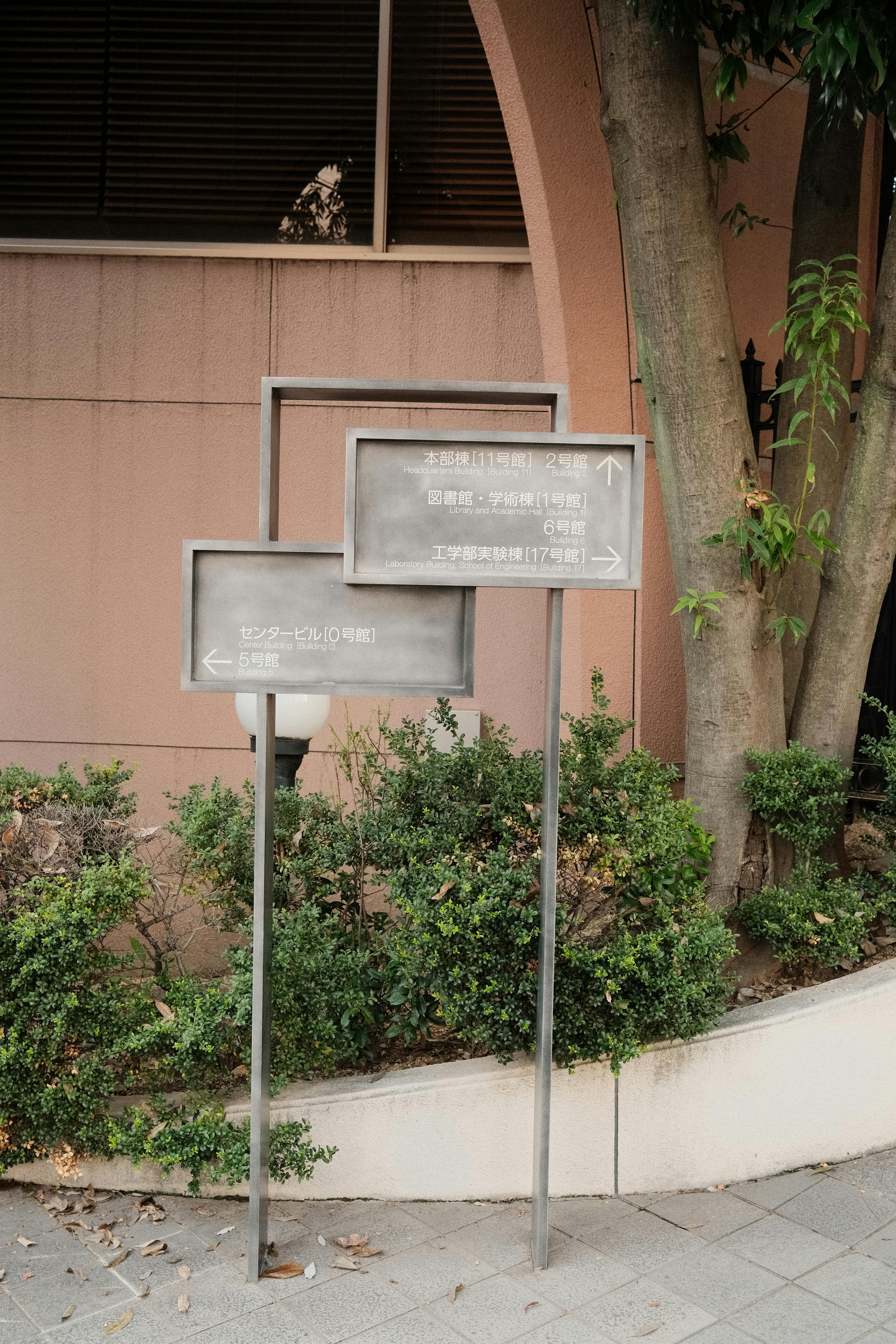 Urban Street Signage in Greenery Setting · Free Stock Photo