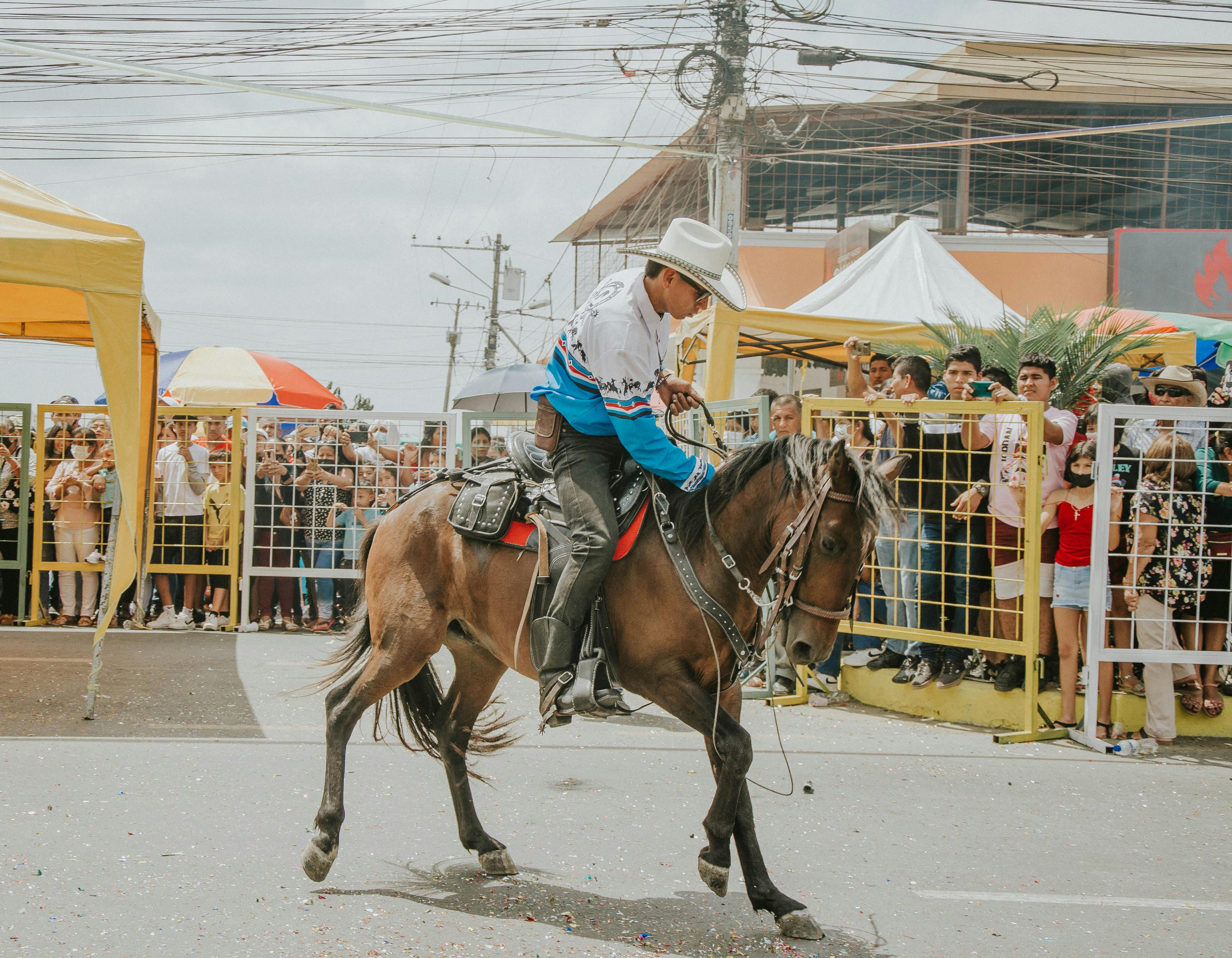 Rider Participating in Outdoor Parade Event · Free Stock Photo