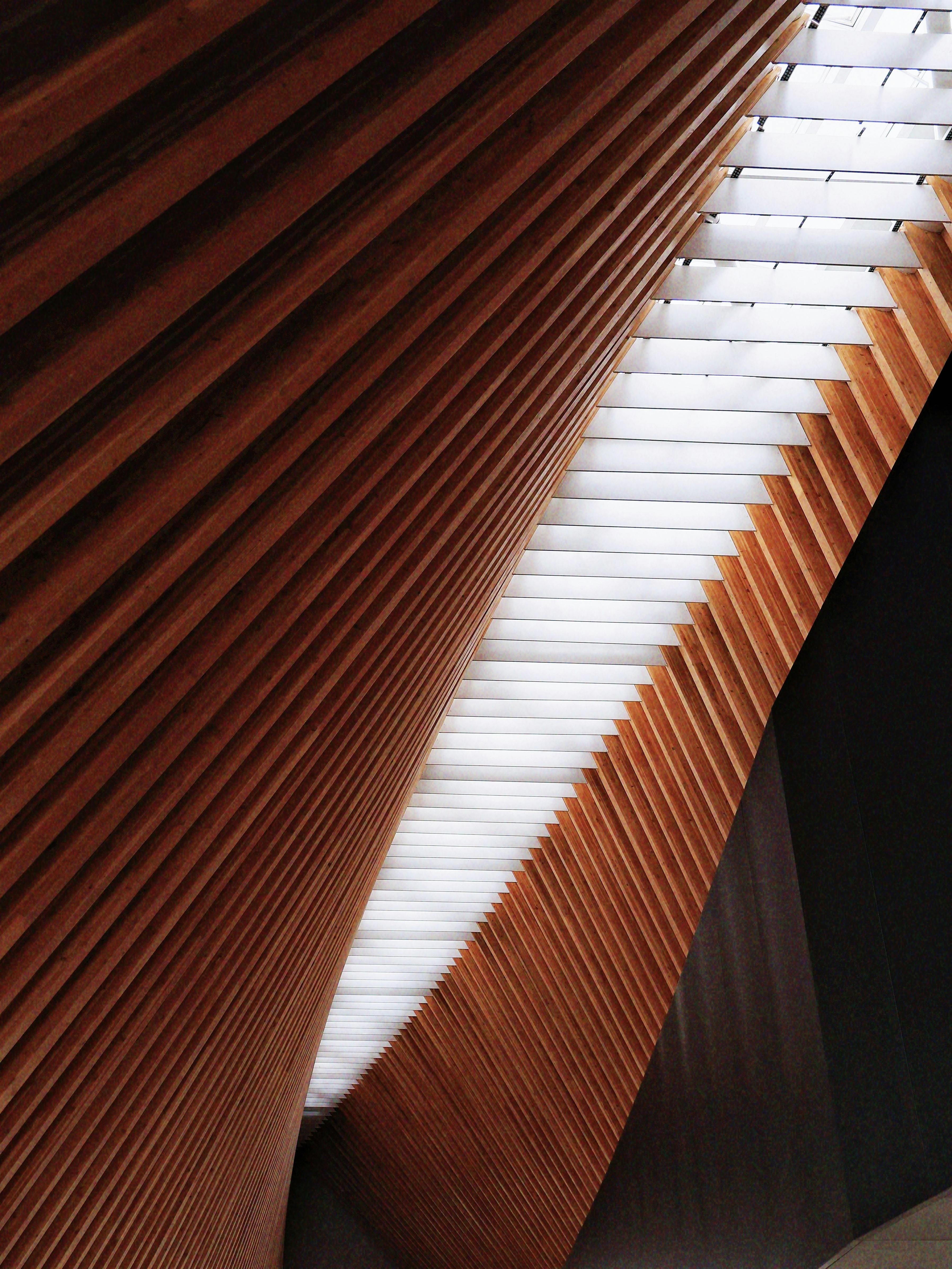 Modern Architectural Wood Ceiling Design · Free Stock Photo