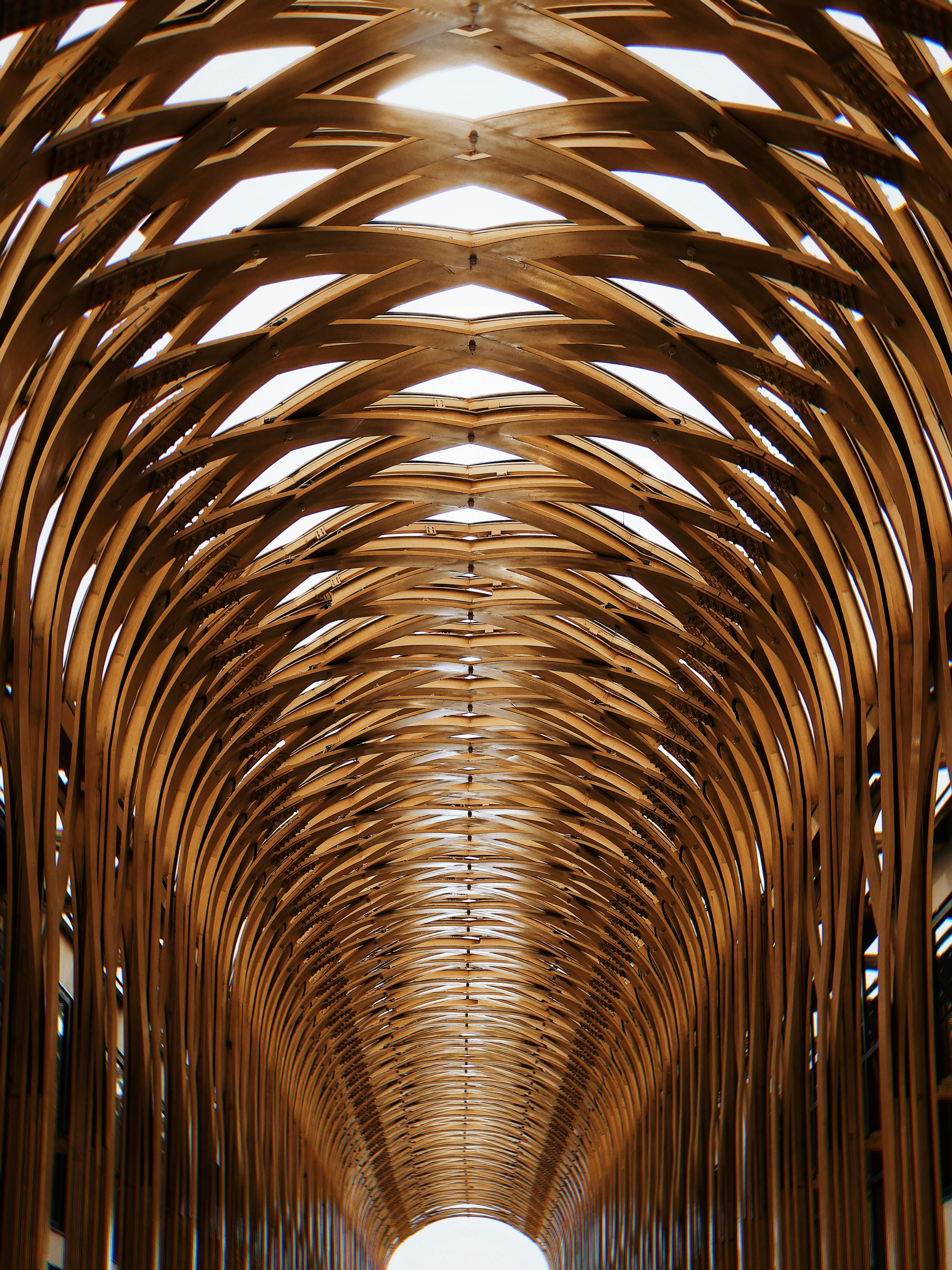 Elegant Wooden Architectural Ceiling Design · Free Stock Photo