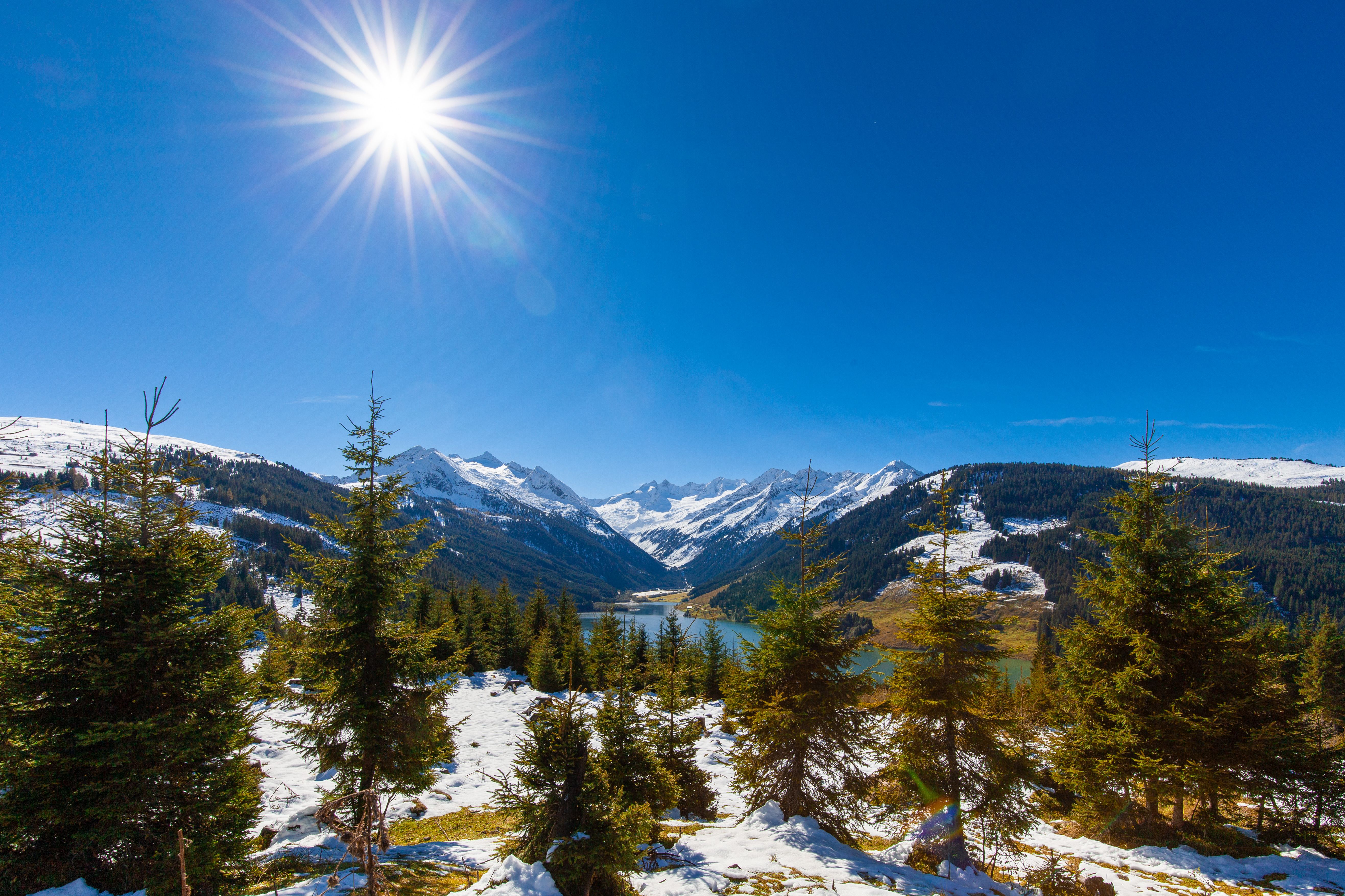 Scenic Alpine Landscape with Pine Trees and Snow · Free Stock Photo