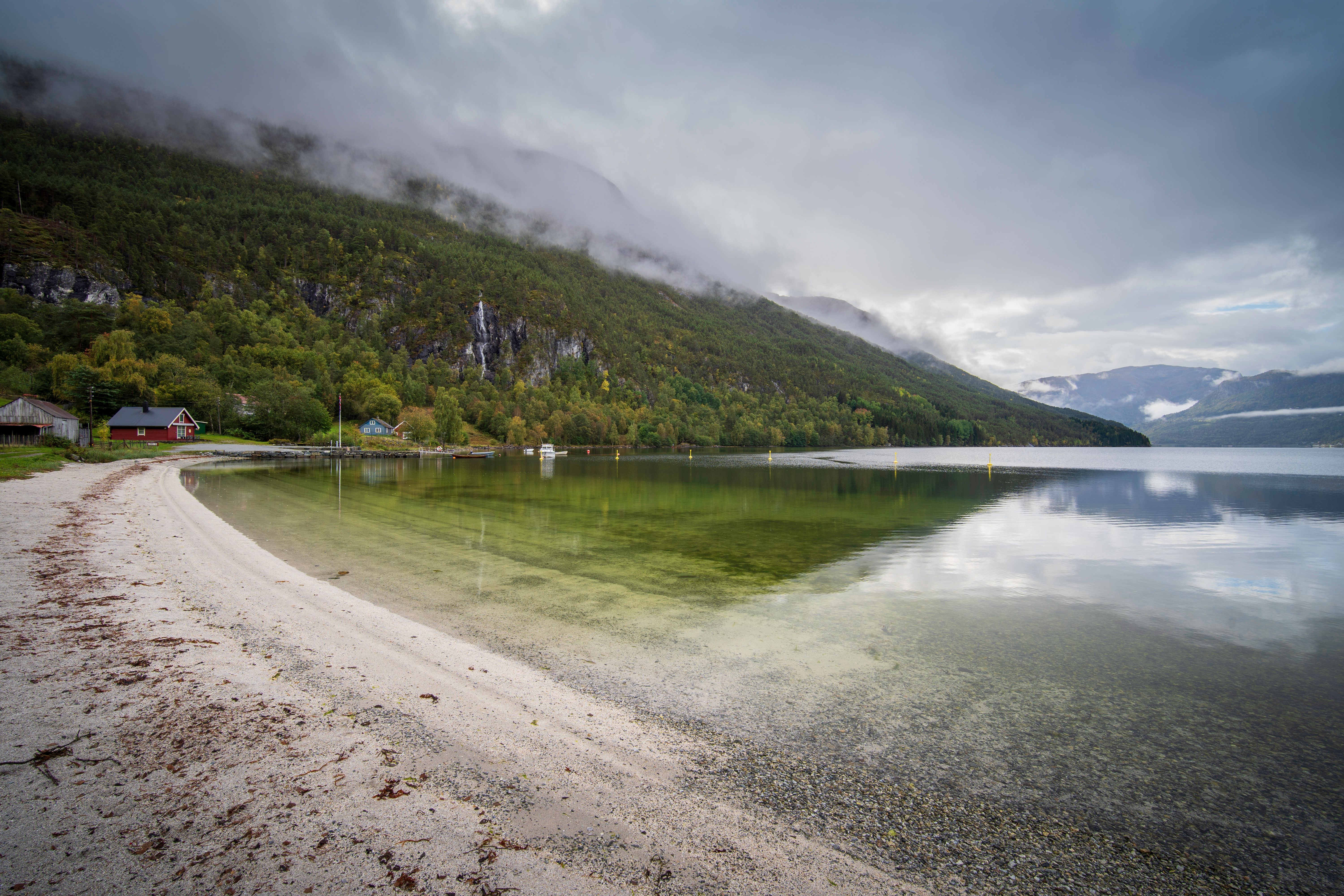 Serene Norwegian Fjord and Beach Landscape · Free Stock Photo