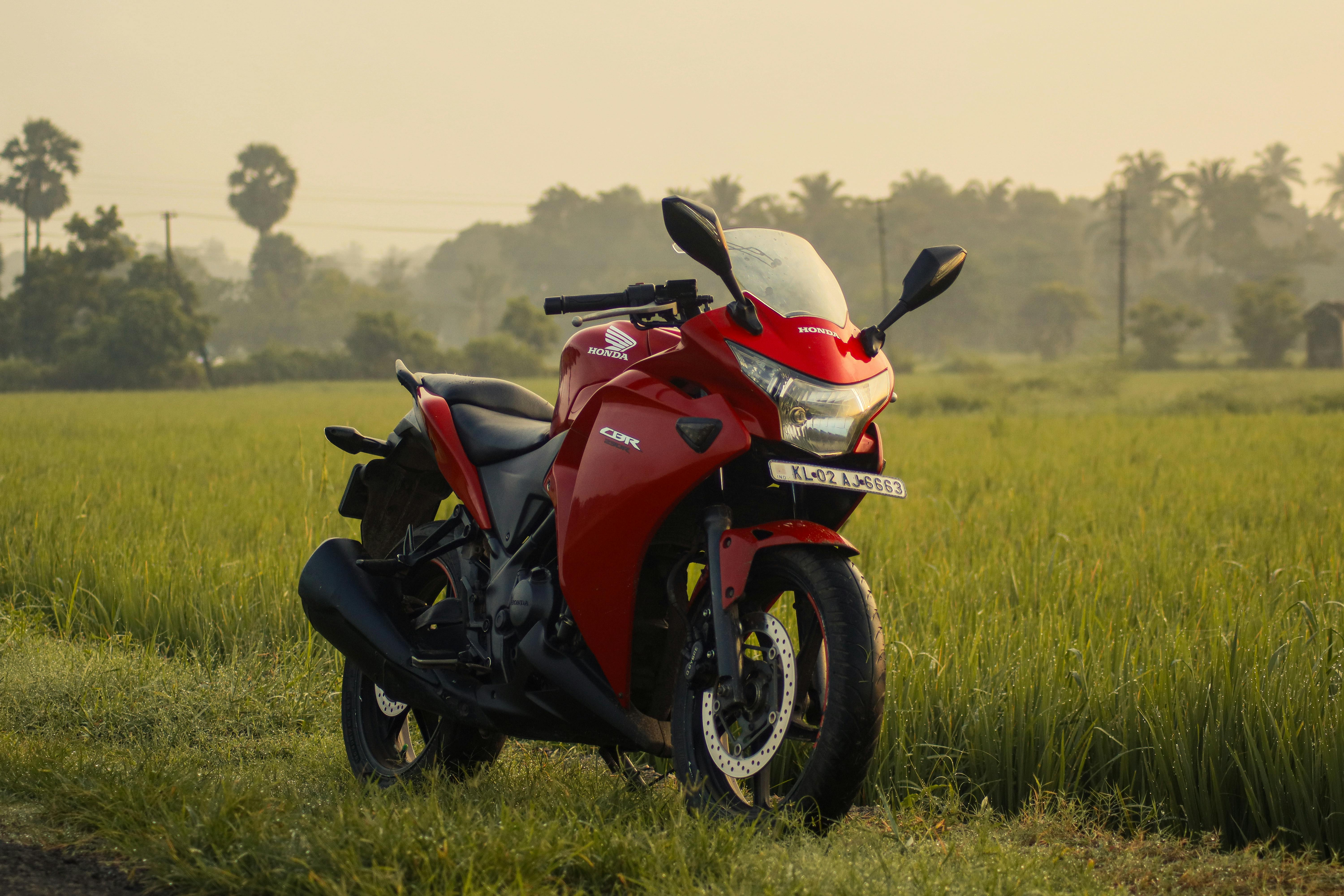 Red Honda Motorcycle in Lush Green Field · Free Stock Photo