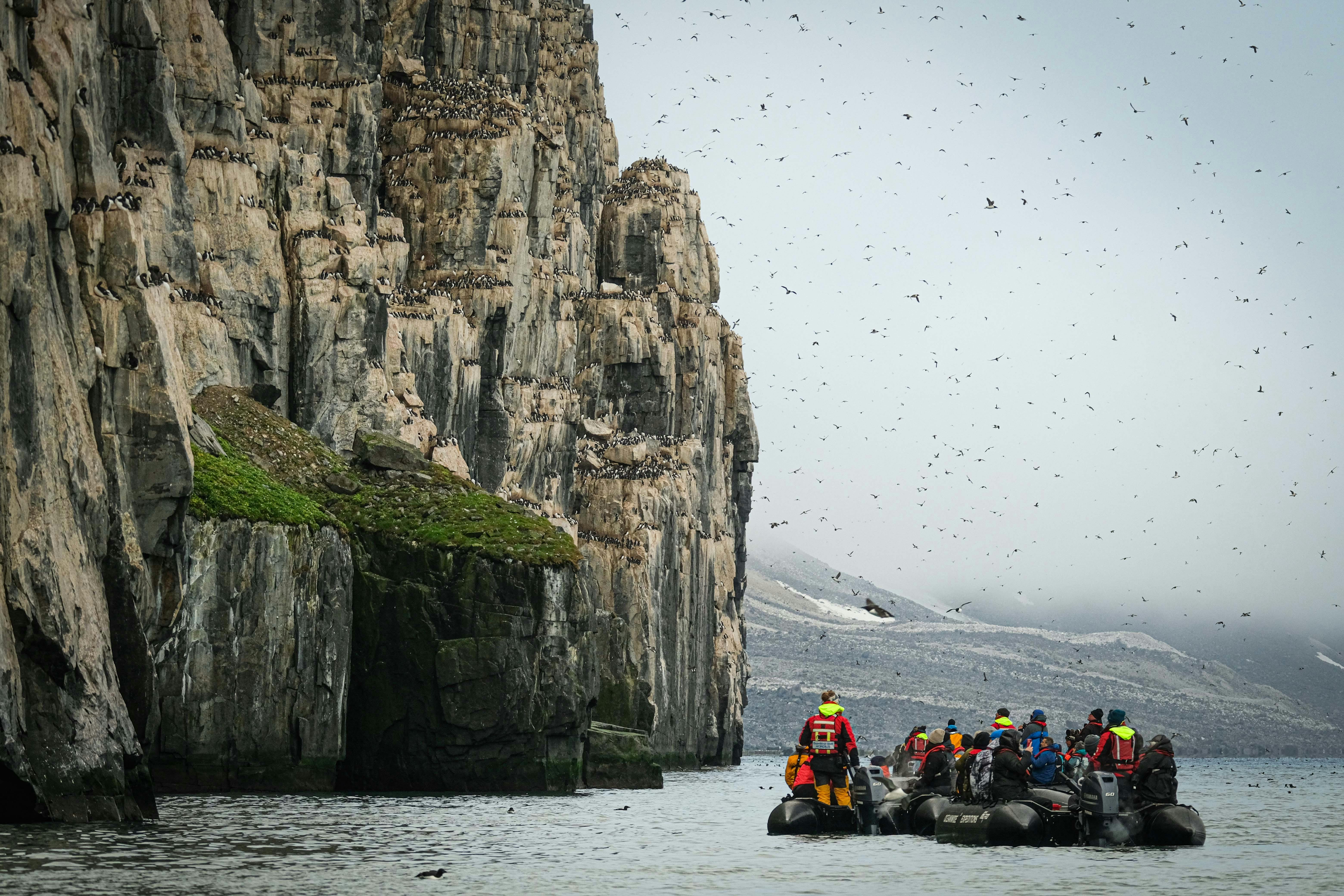 Tourists Exploring Bird Cliffs by Boat · Free Stock Photo