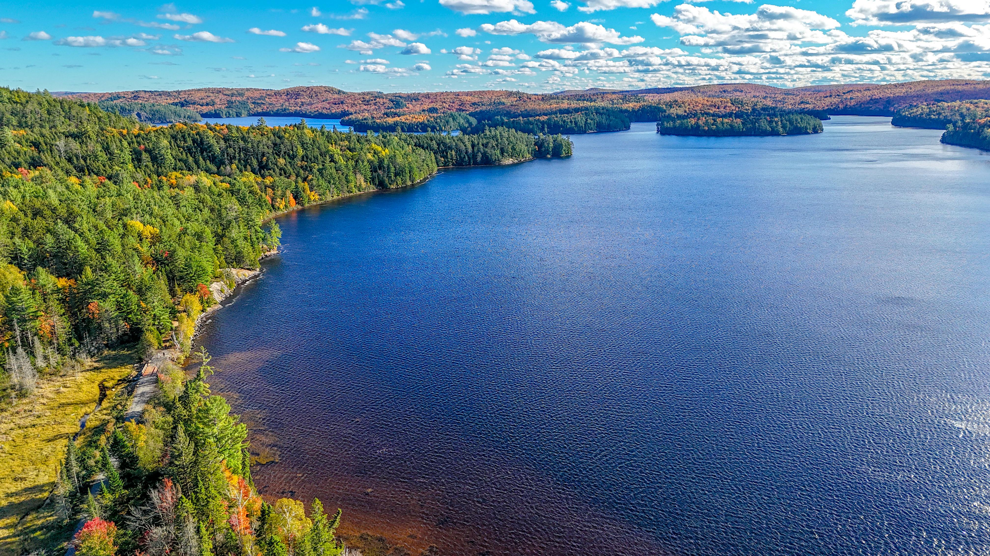 Scenic Aerial View of Forested Lake in Autumn · Free Stock Photo
