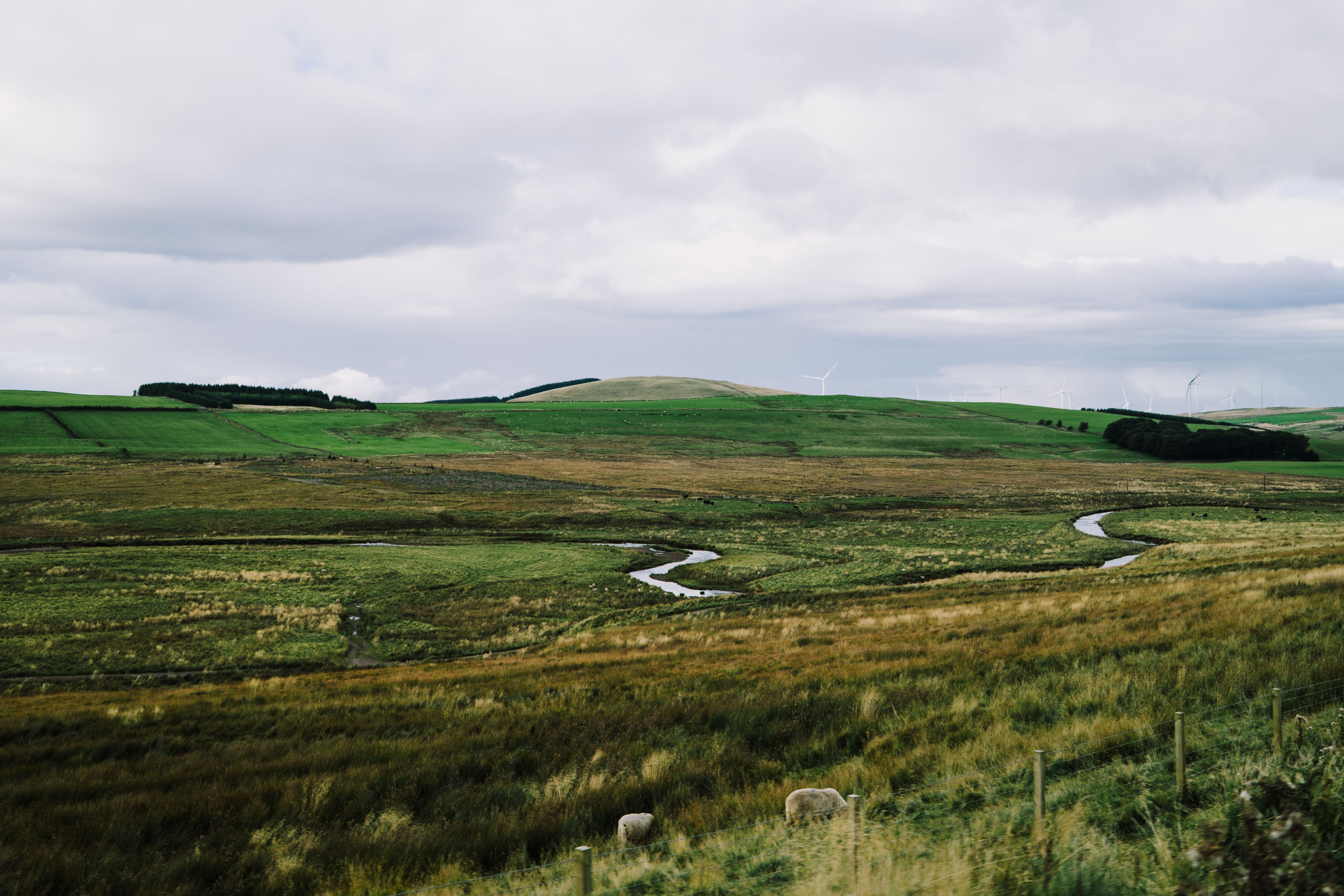 Scenic Scottish Countryside with Rolling Hills · Free Stock Photo