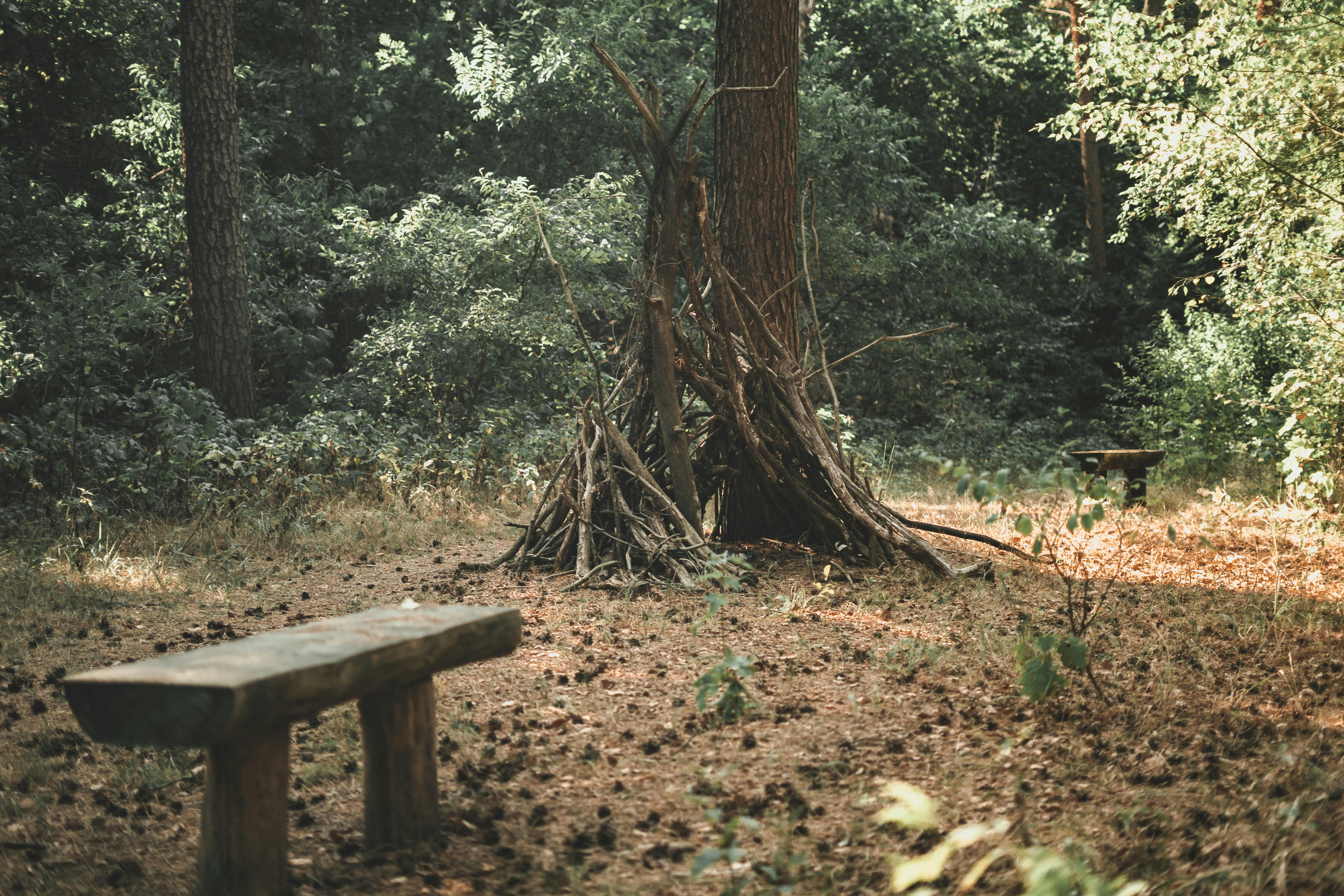 Rustic Forest Bench and Wood Structure in Poland · Free Stock Photo