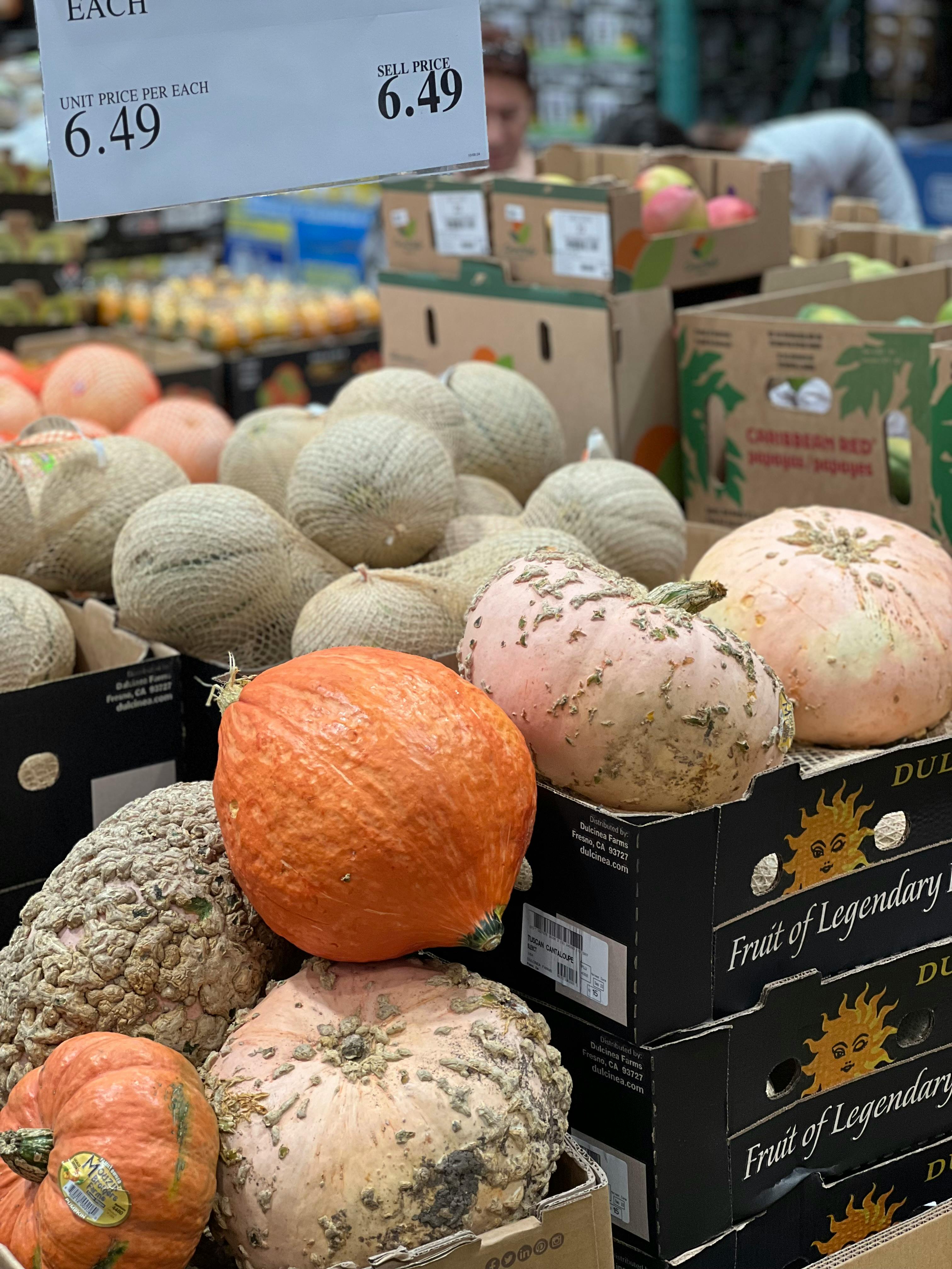Assorted Gourds and Melons at a Market Display · Free Stock Photo