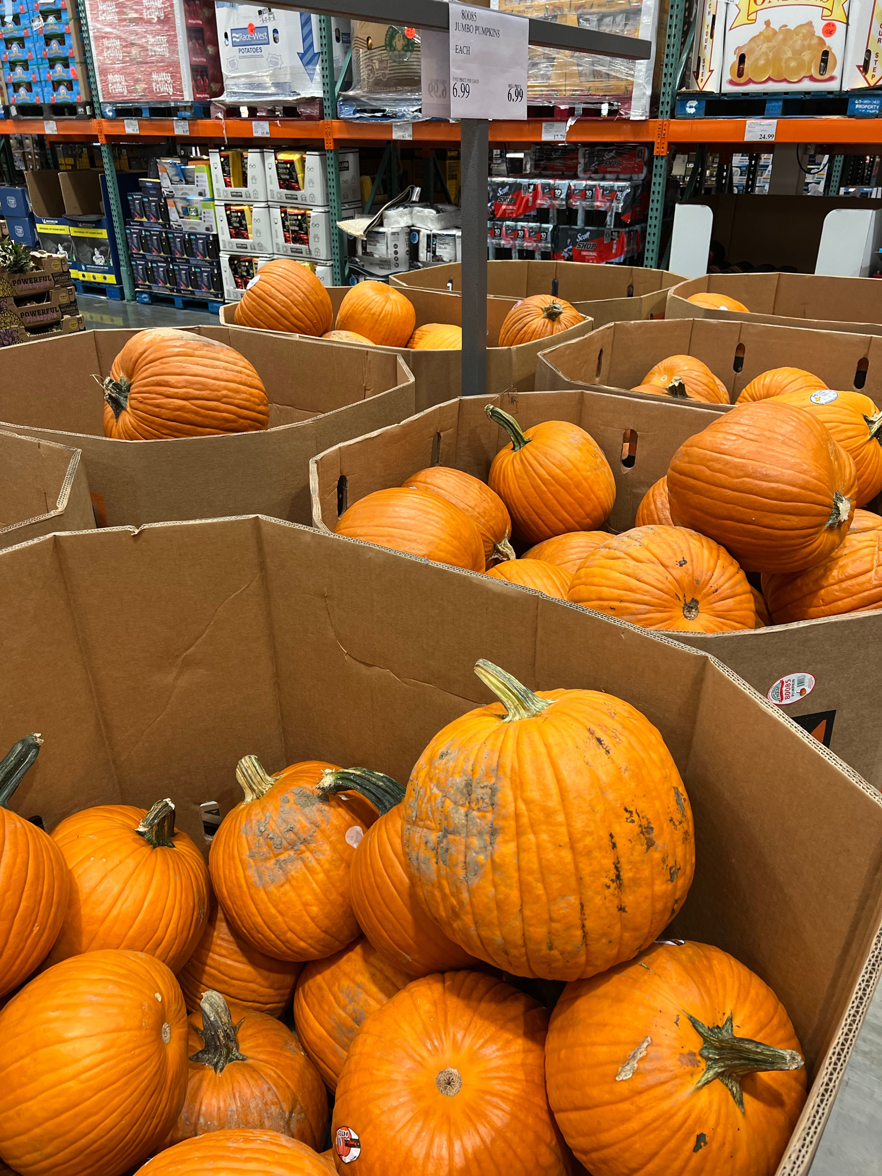 Stacked Pumpkins in Store Aisle for Autumn · Free Stock Photo