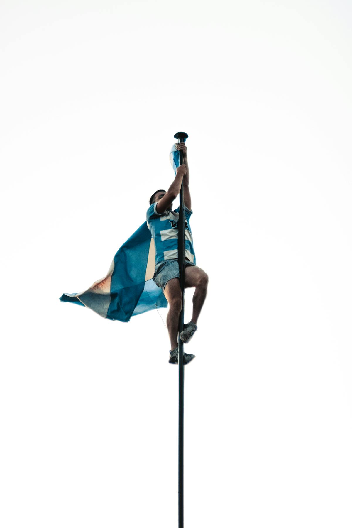 Frogs Climbing On Pole Photos, Download The BEST Free Frogs Climbing On ...