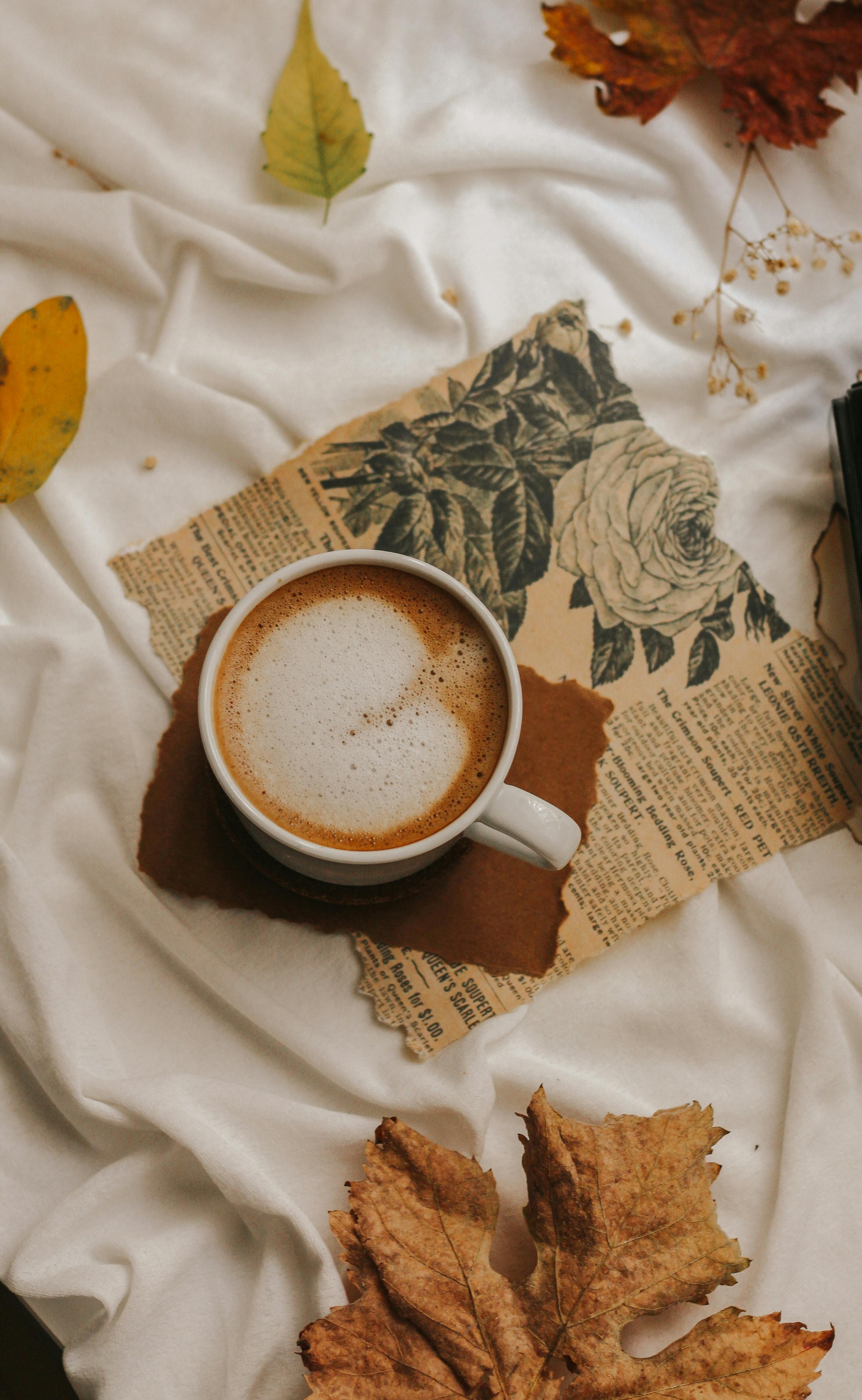 Cozy Autumn Coffee with Rustic Decor · Free Stock Photo