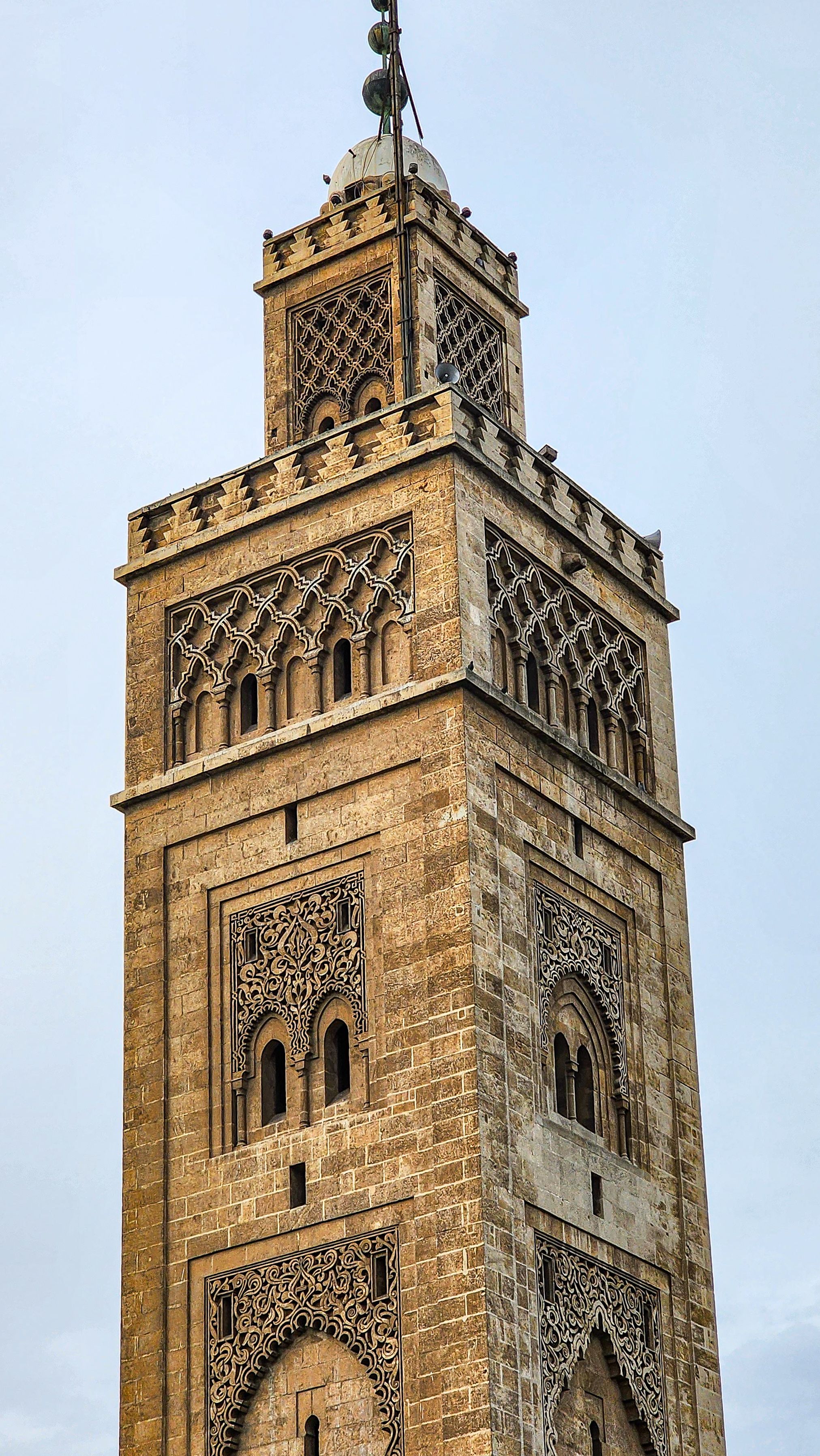 Luzelba Mansour Photos, Download The BEST Free Luzelba Mansour Stock ...