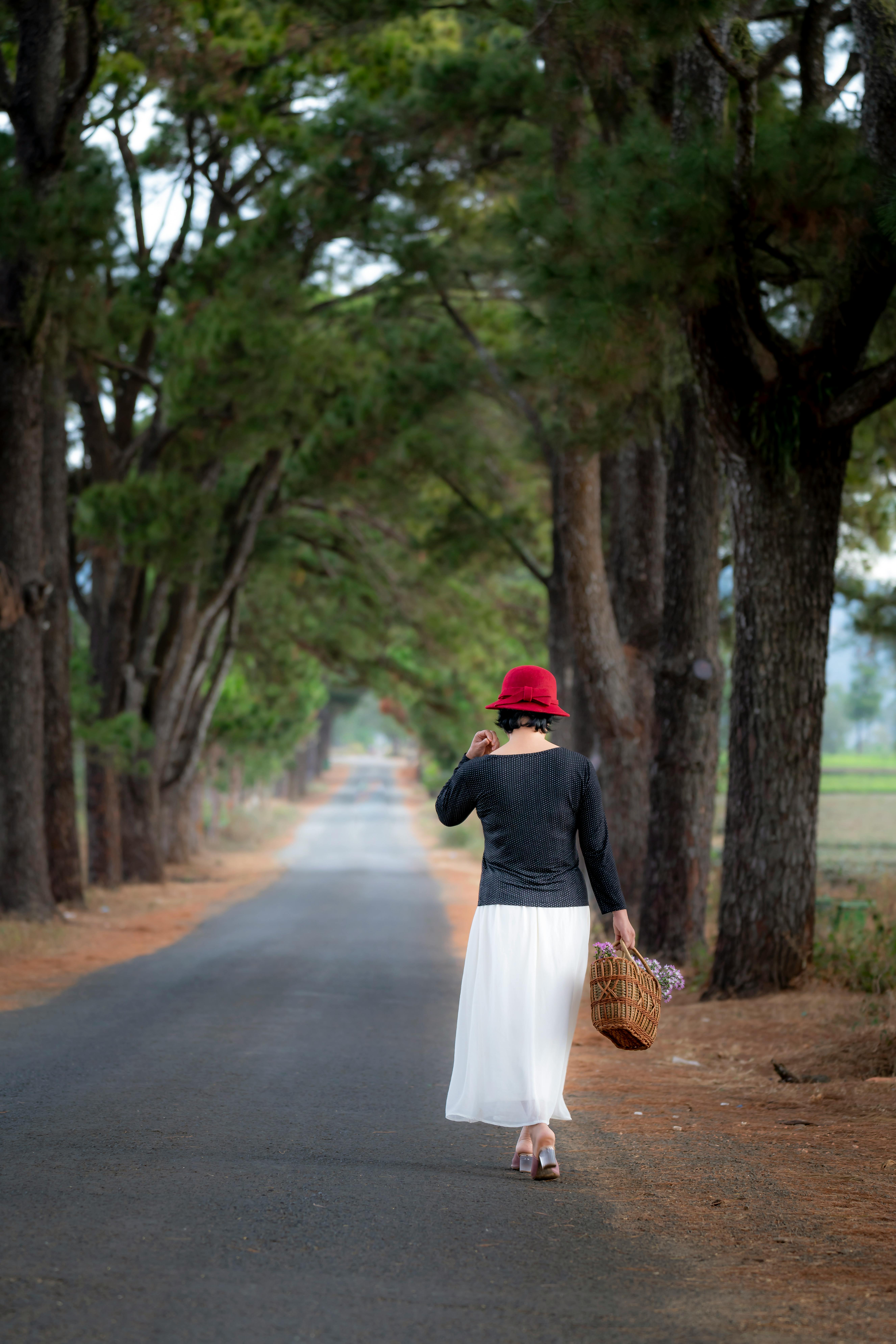People Walking in a Park With Large Trees · Free Stock Photo