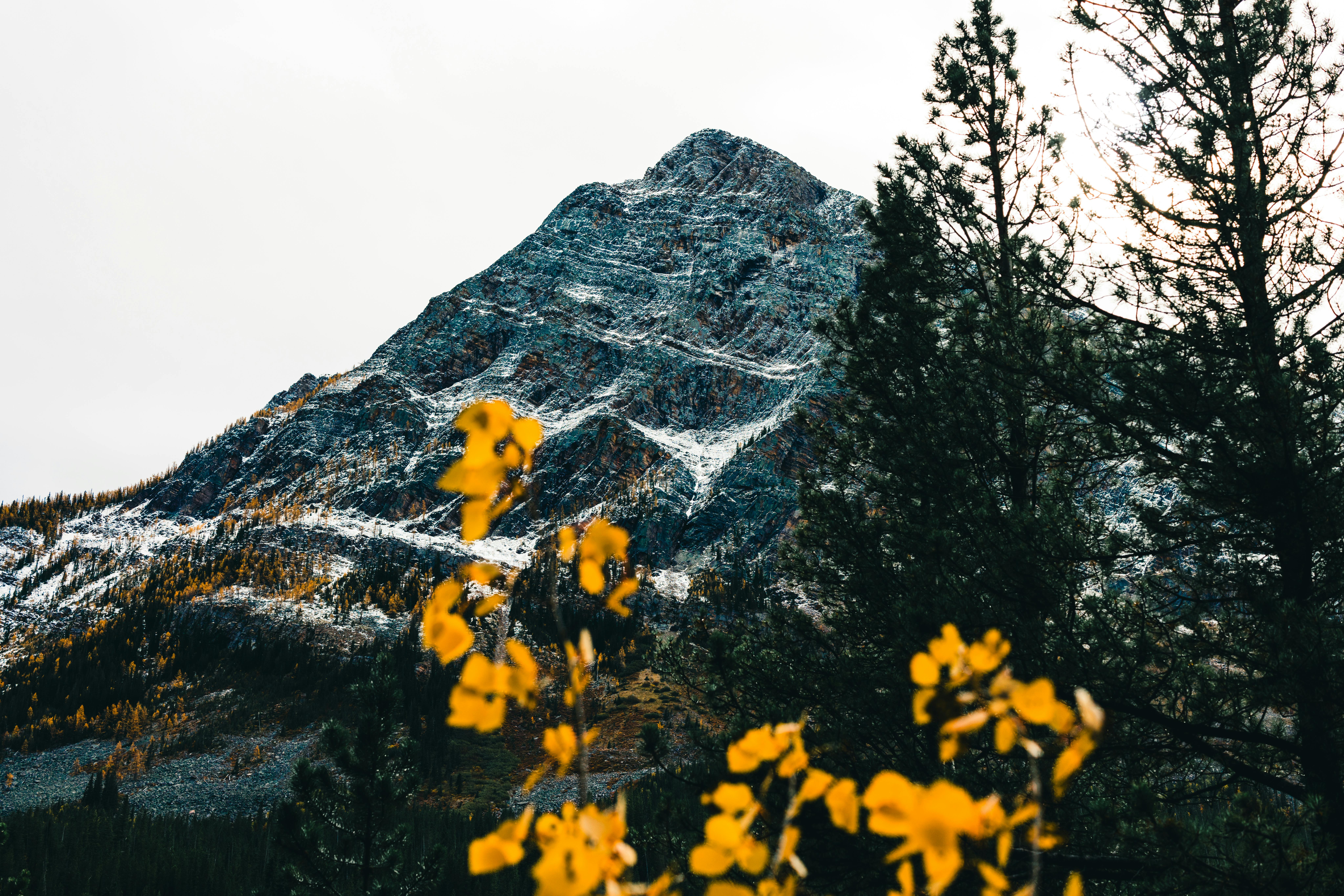 Green Trees Near Mountain Under White Clouds during Noontime · Free ...