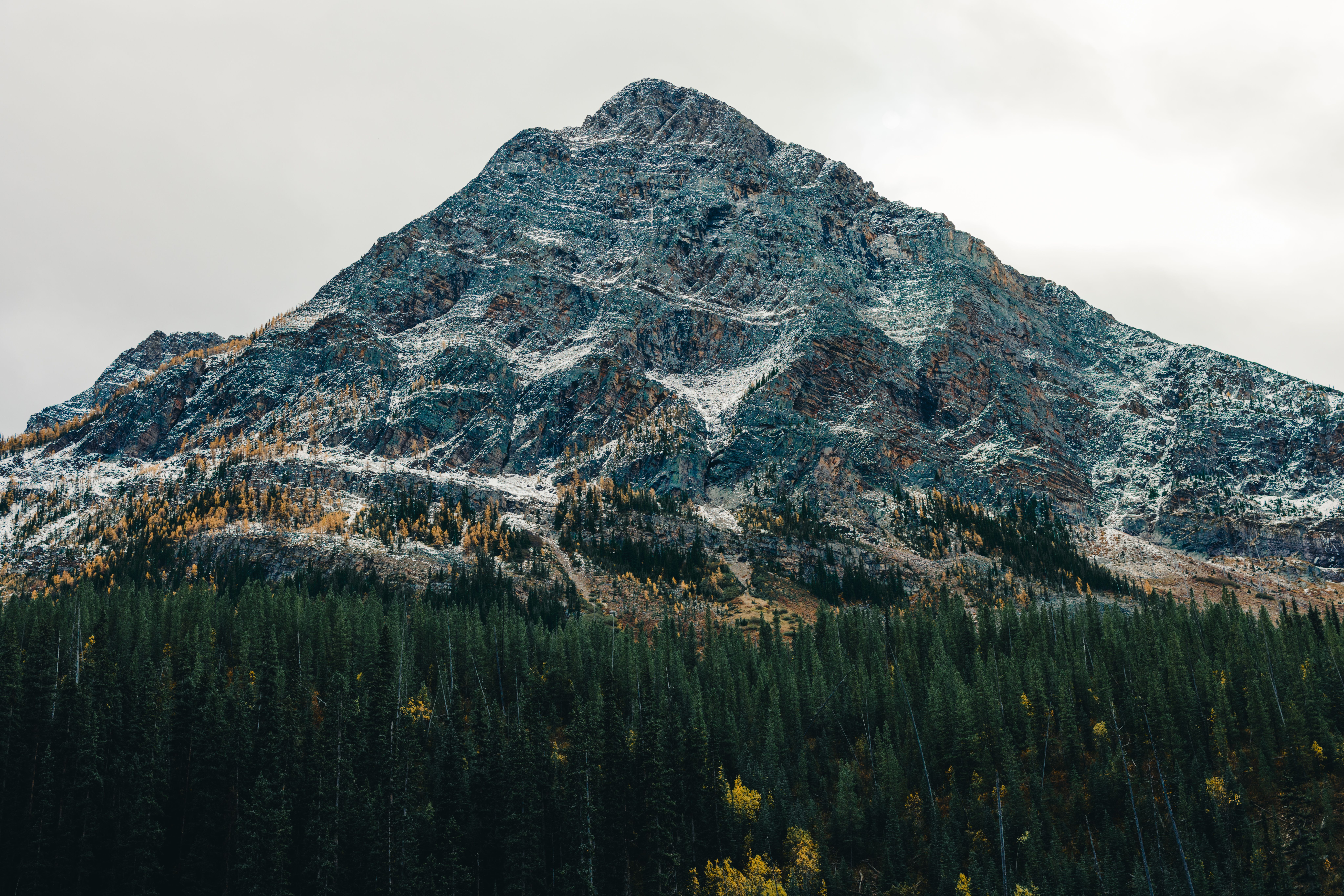 Majestic Mountain Peak in Autumn Forest Landscape · Free Stock Photo