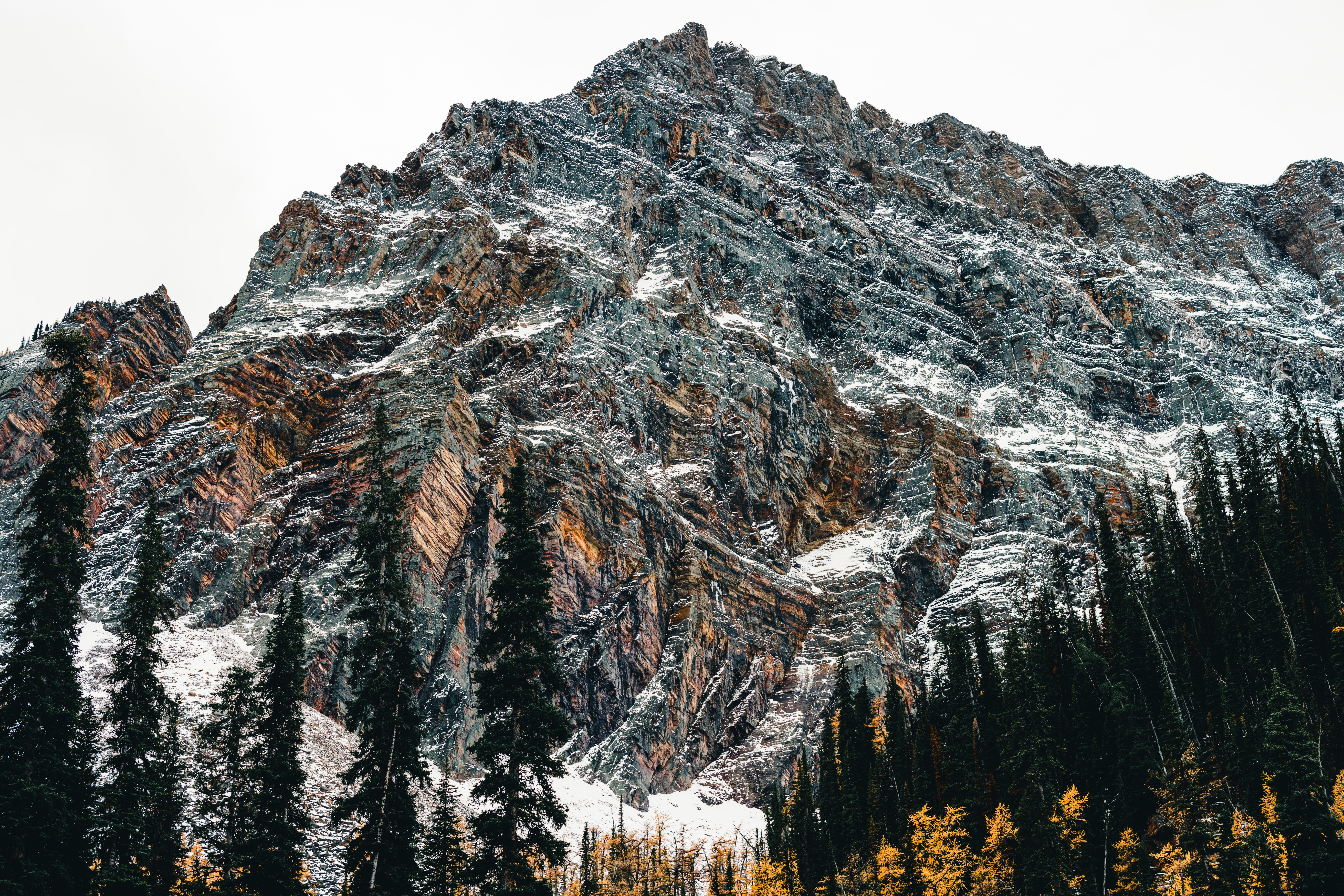 Dramatic Mountain Landscape in Autumn Forest · Free Stock Photo