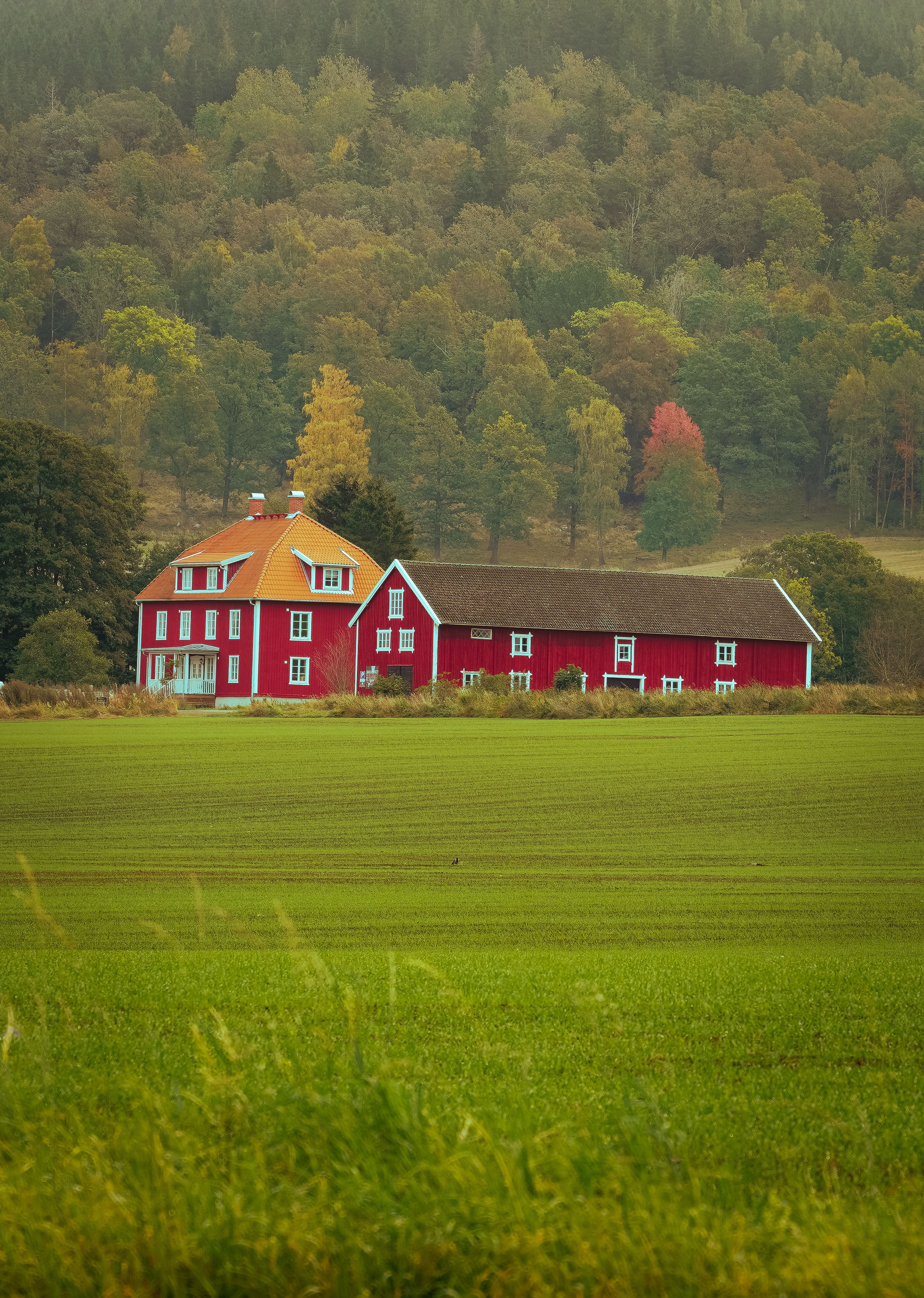 Charming Red Farmhouse in Serene Countryside · Free Stock Photo