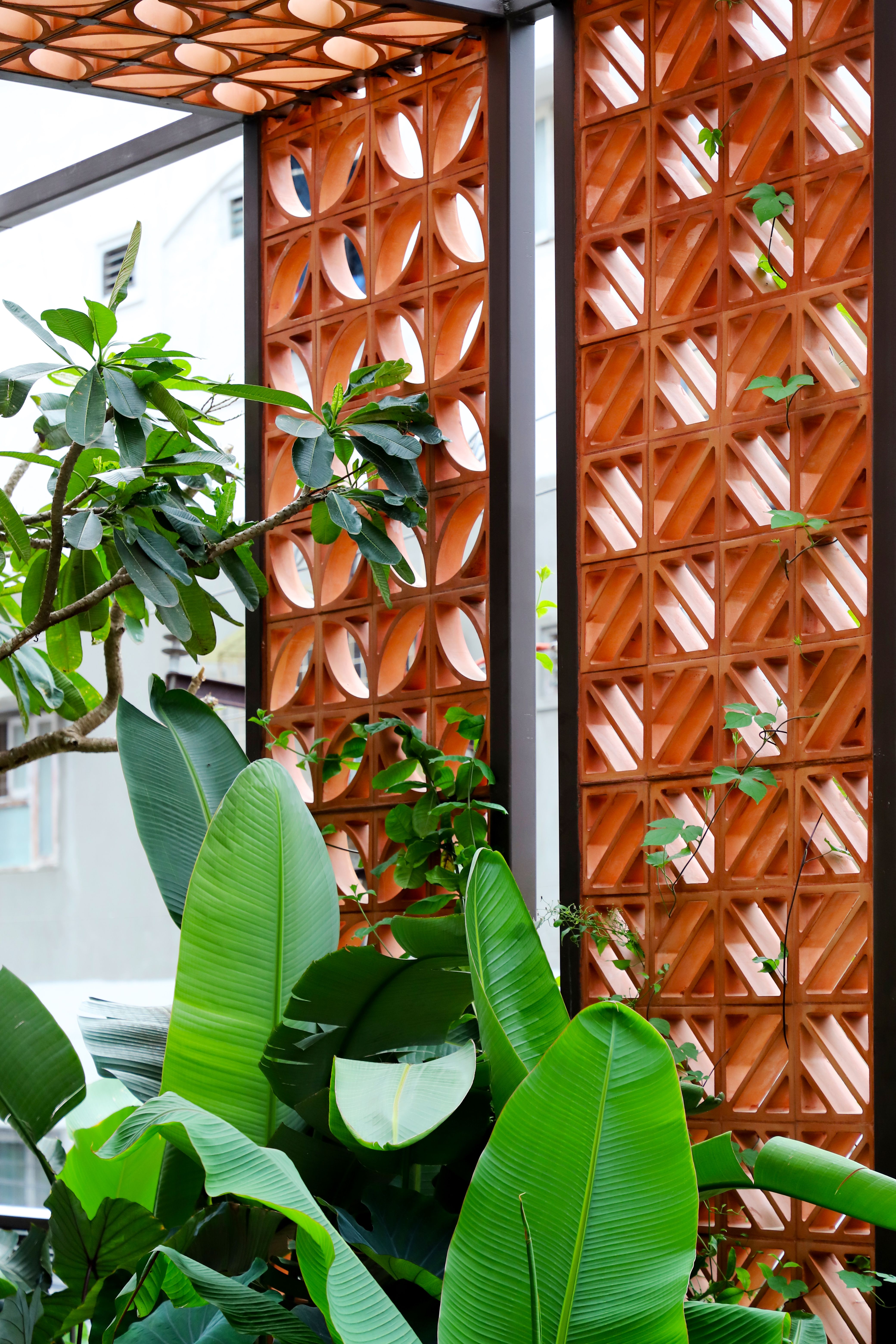 Lush Indoor Garden with Terracotta Wall Design · Free Stock Photo