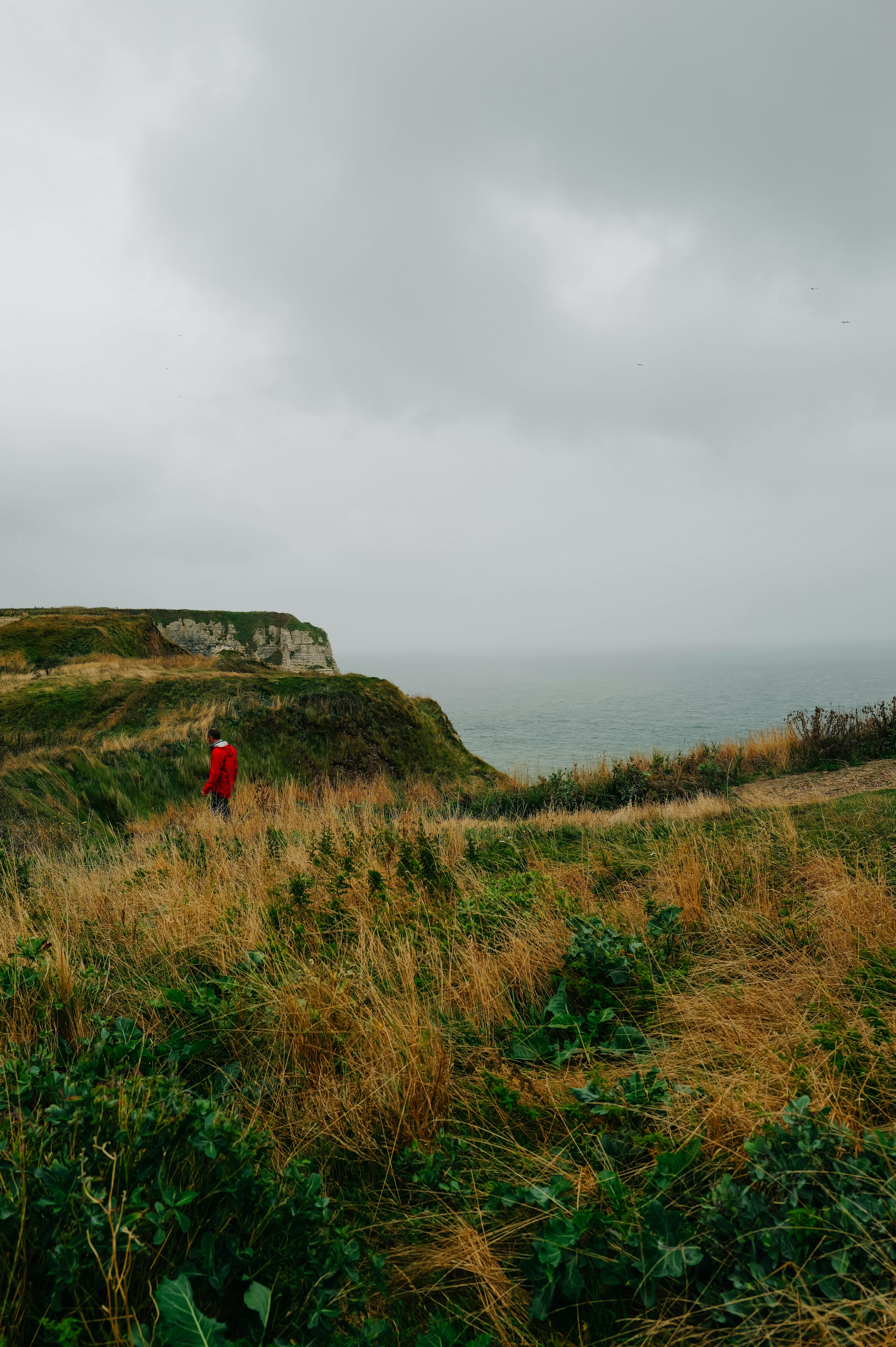 Person in Red Walking Along Coastal Cliff Path · Free Stock Photo