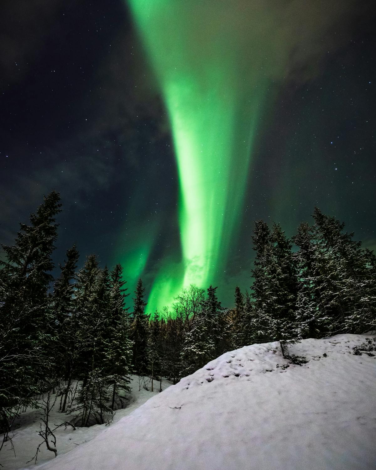 Winter, Snow Scenes Photos, Download The BEST Free Winter, Snow Scenes ...