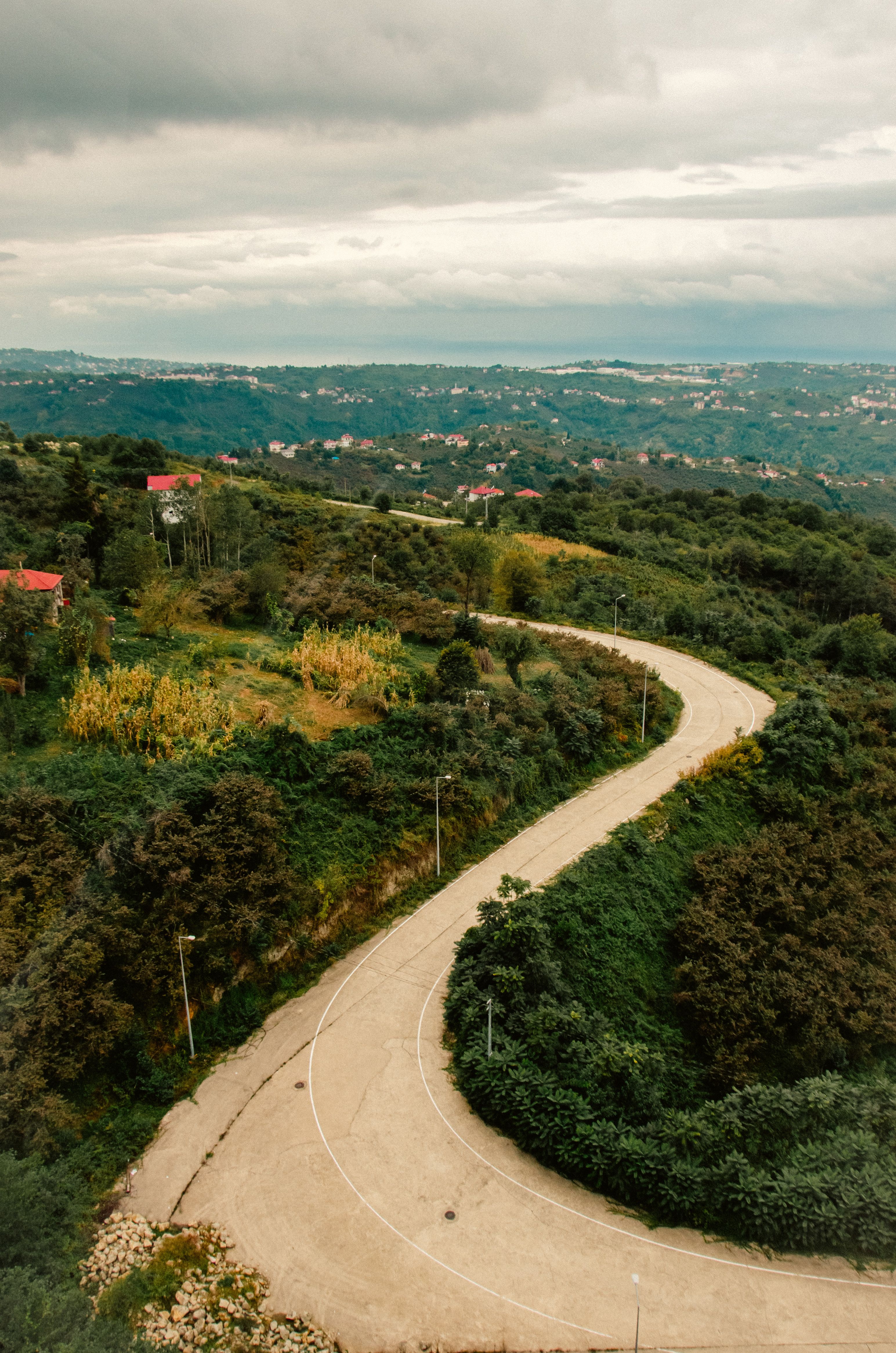 Scenic Winding Road through Lush Hillside · Free Stock Photo