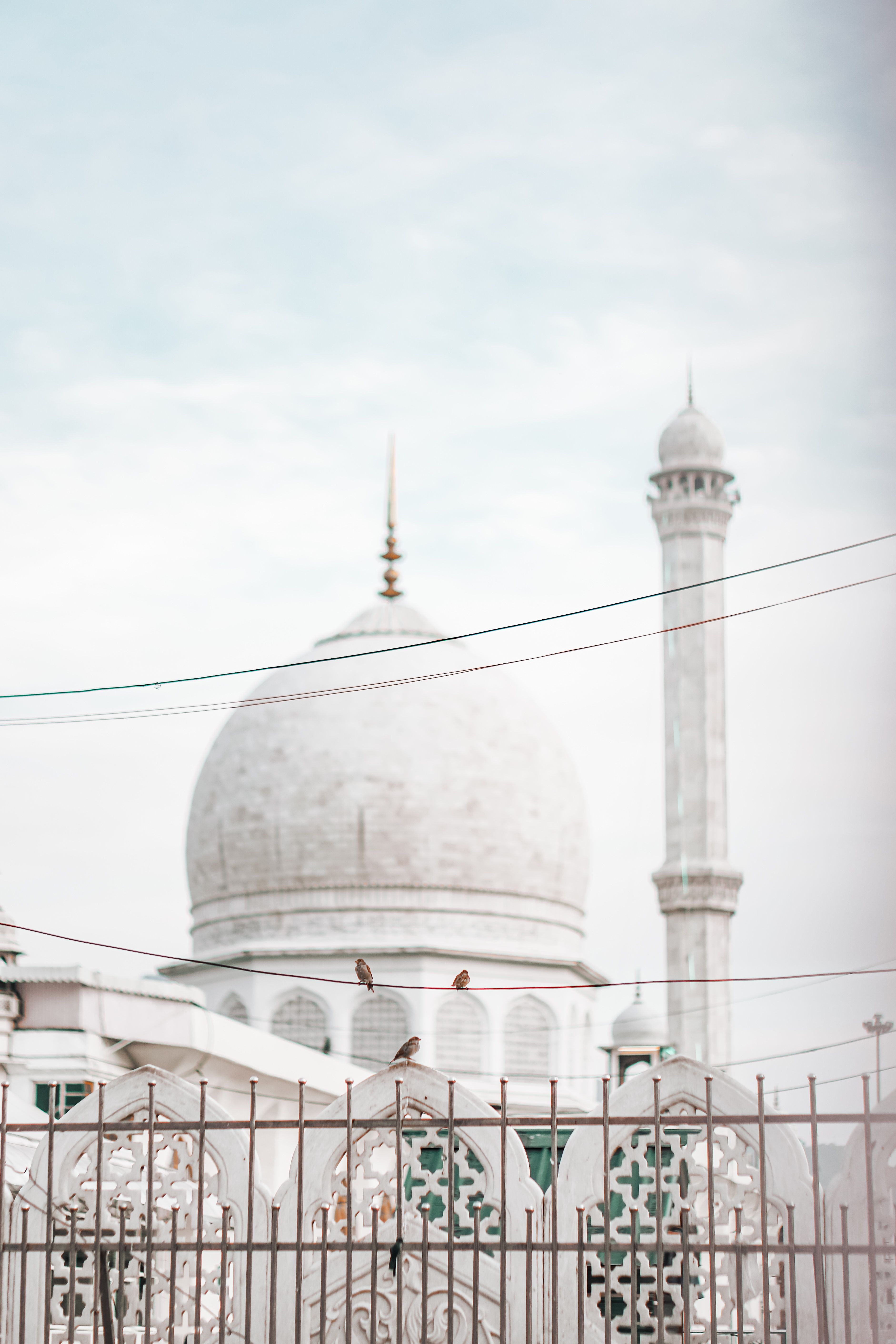 Scenic View of Mosque with Birds on Fence · Free Stock Photo