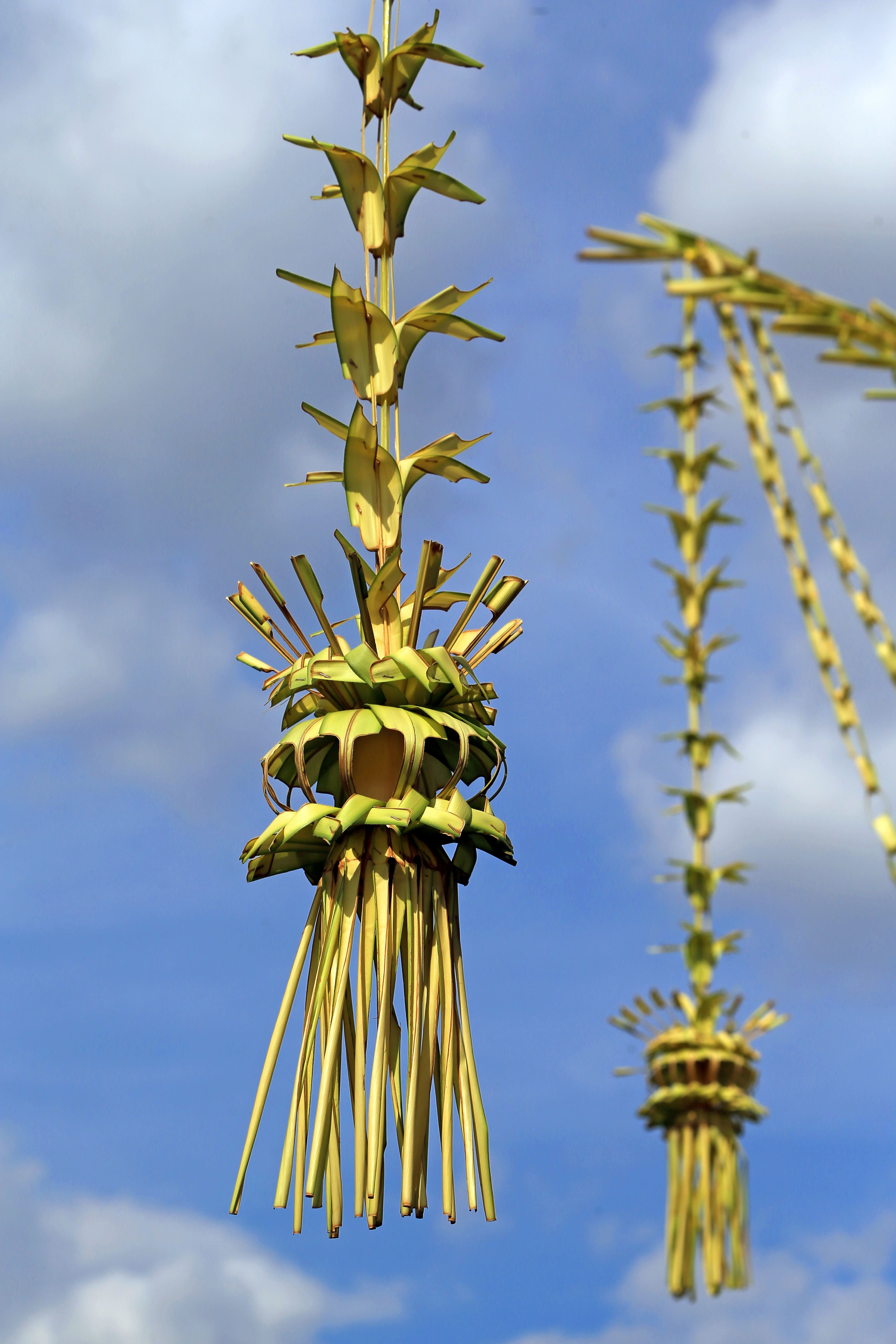 Close-up of Traditional Indonesian Palm Leaf Decoration · Free Stock Photo