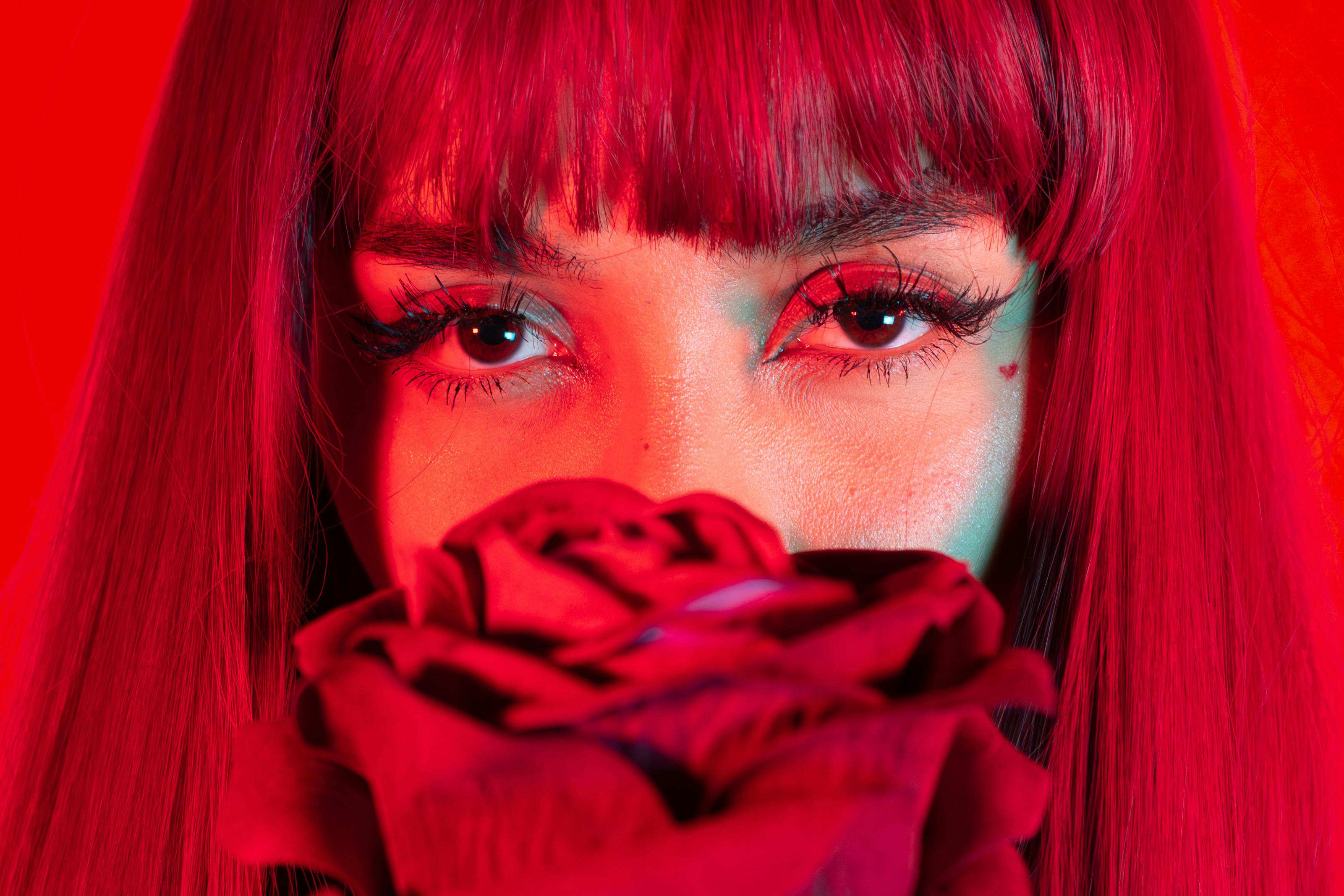 Net Sor Photos, Download The BEST Free Net Sor Stock Photos & HD Images