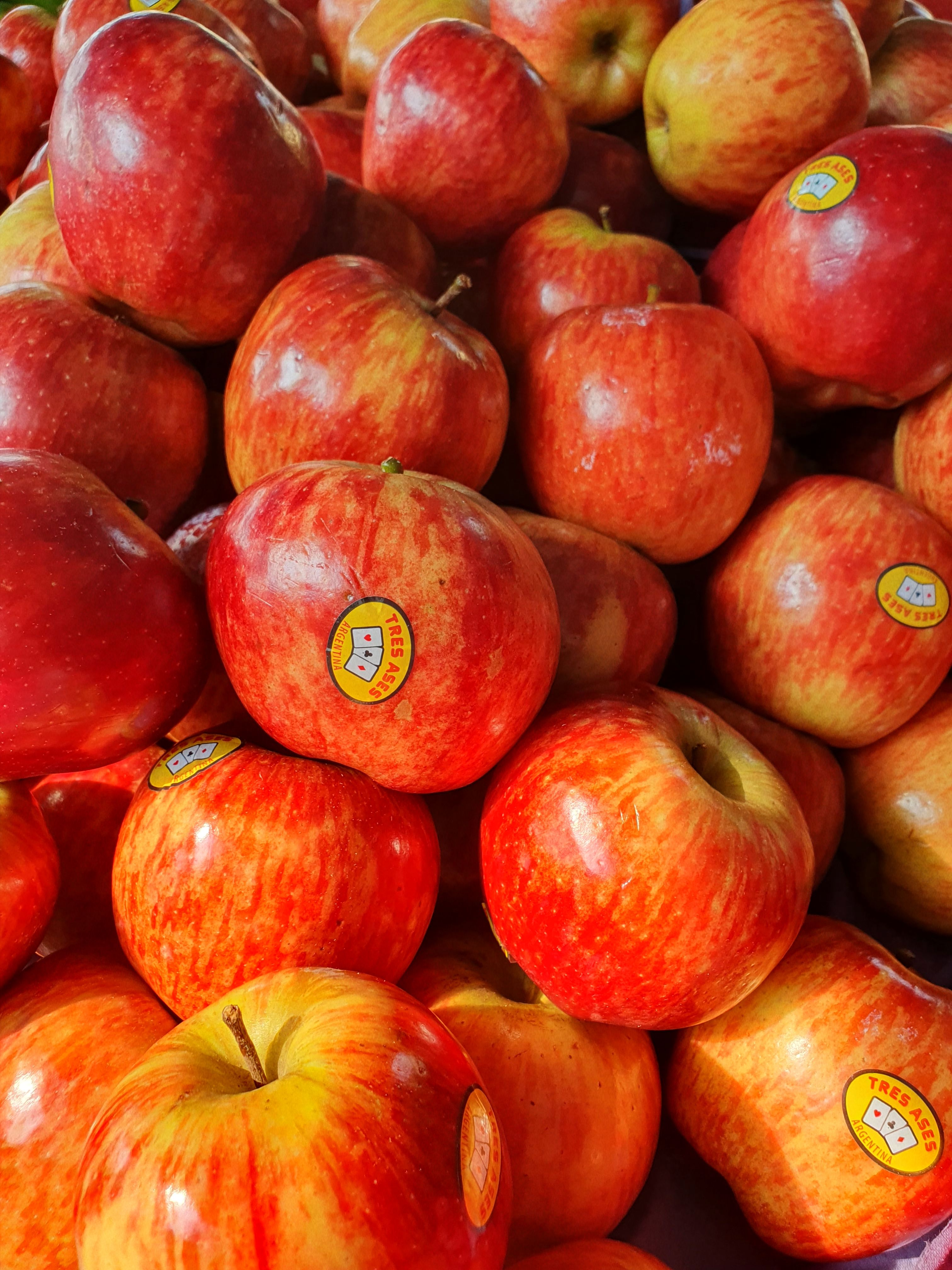 Apple Fruit Image Photos, Download The BEST Free Apple Fruit Image ...