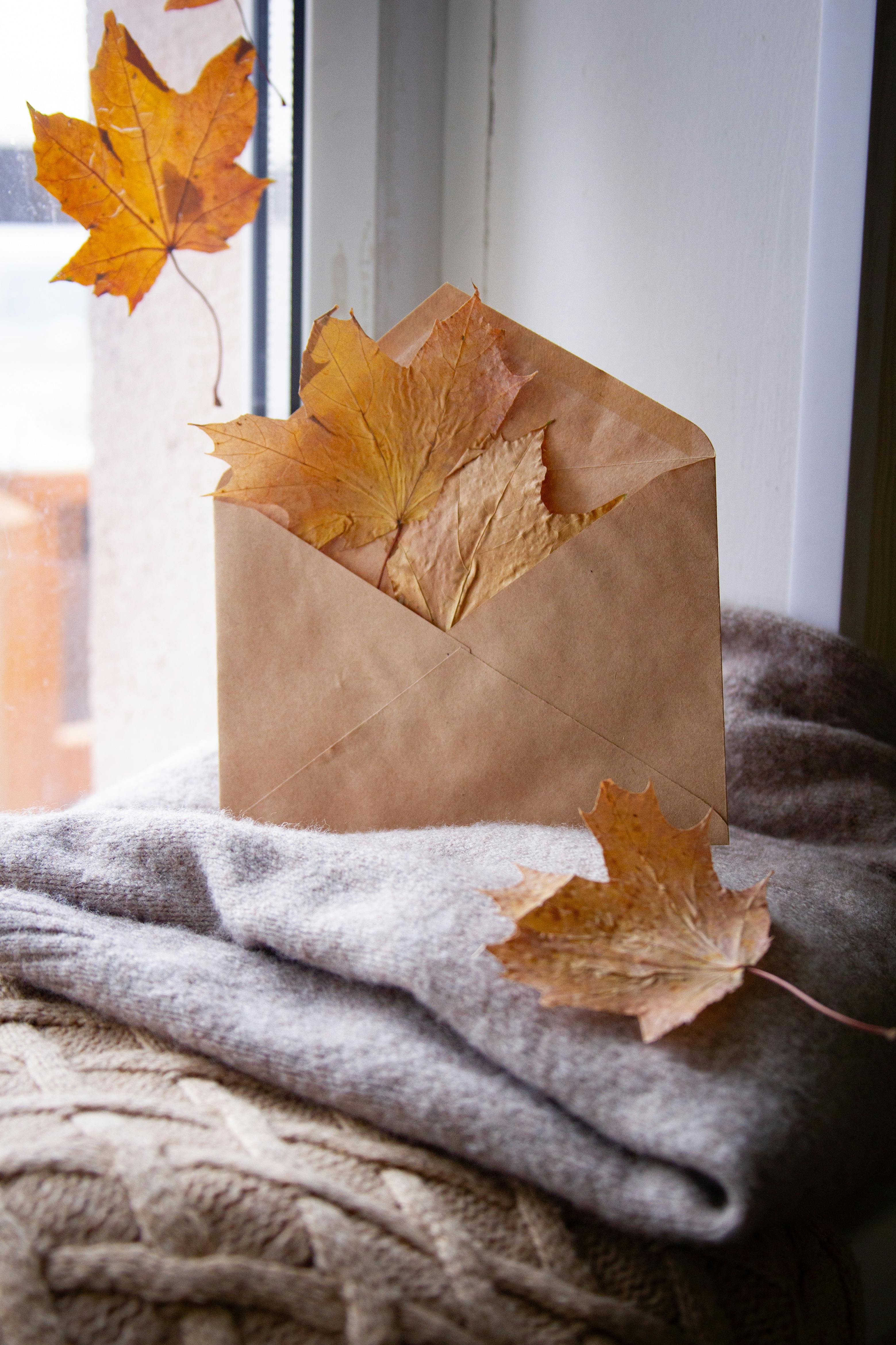 Autumn Leaves in Brown Envelope by Window · Free Stock Photo