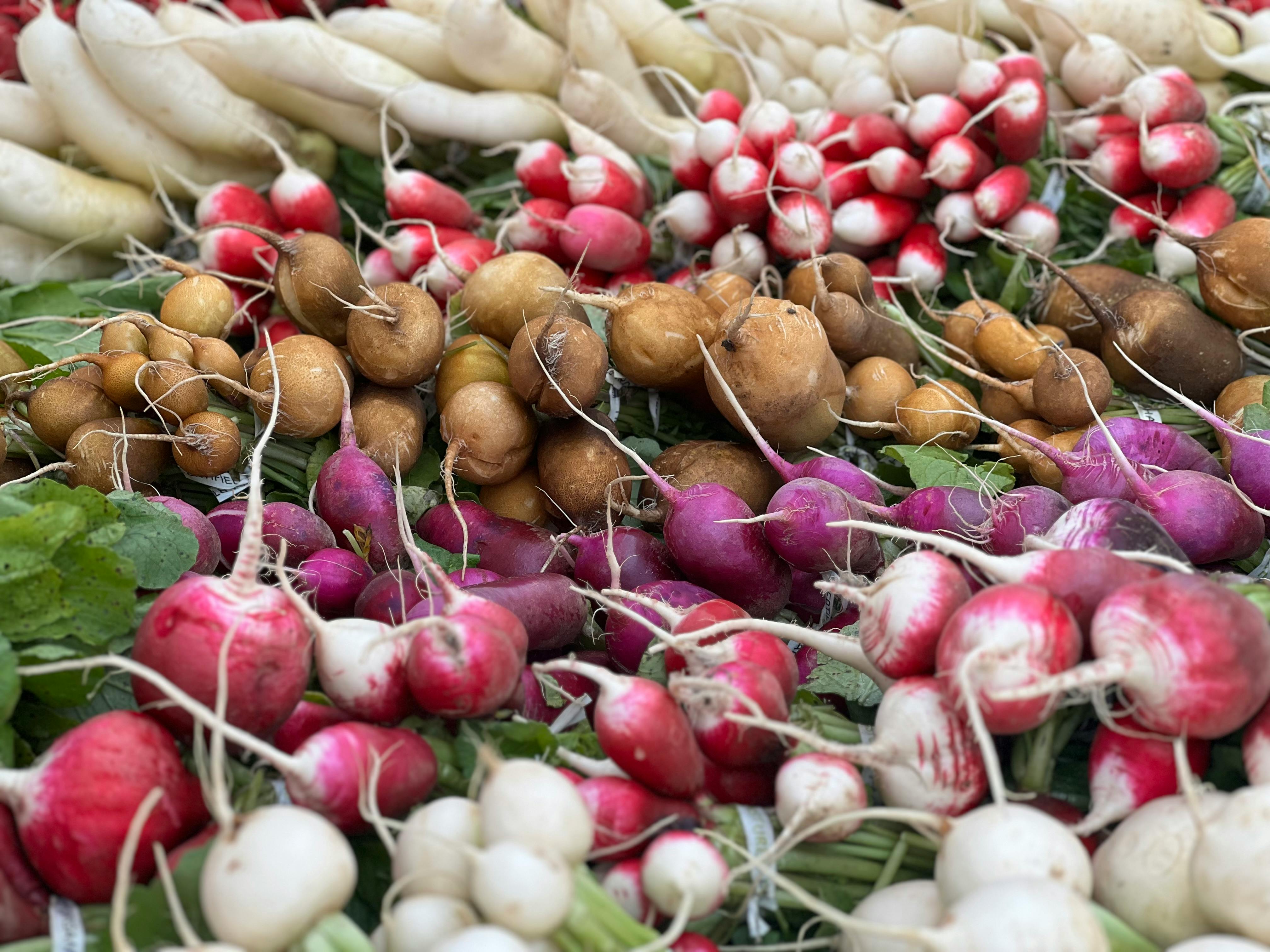 Brown Turnips Photos, Download The BEST Free Brown Turnips Stock Photos ...