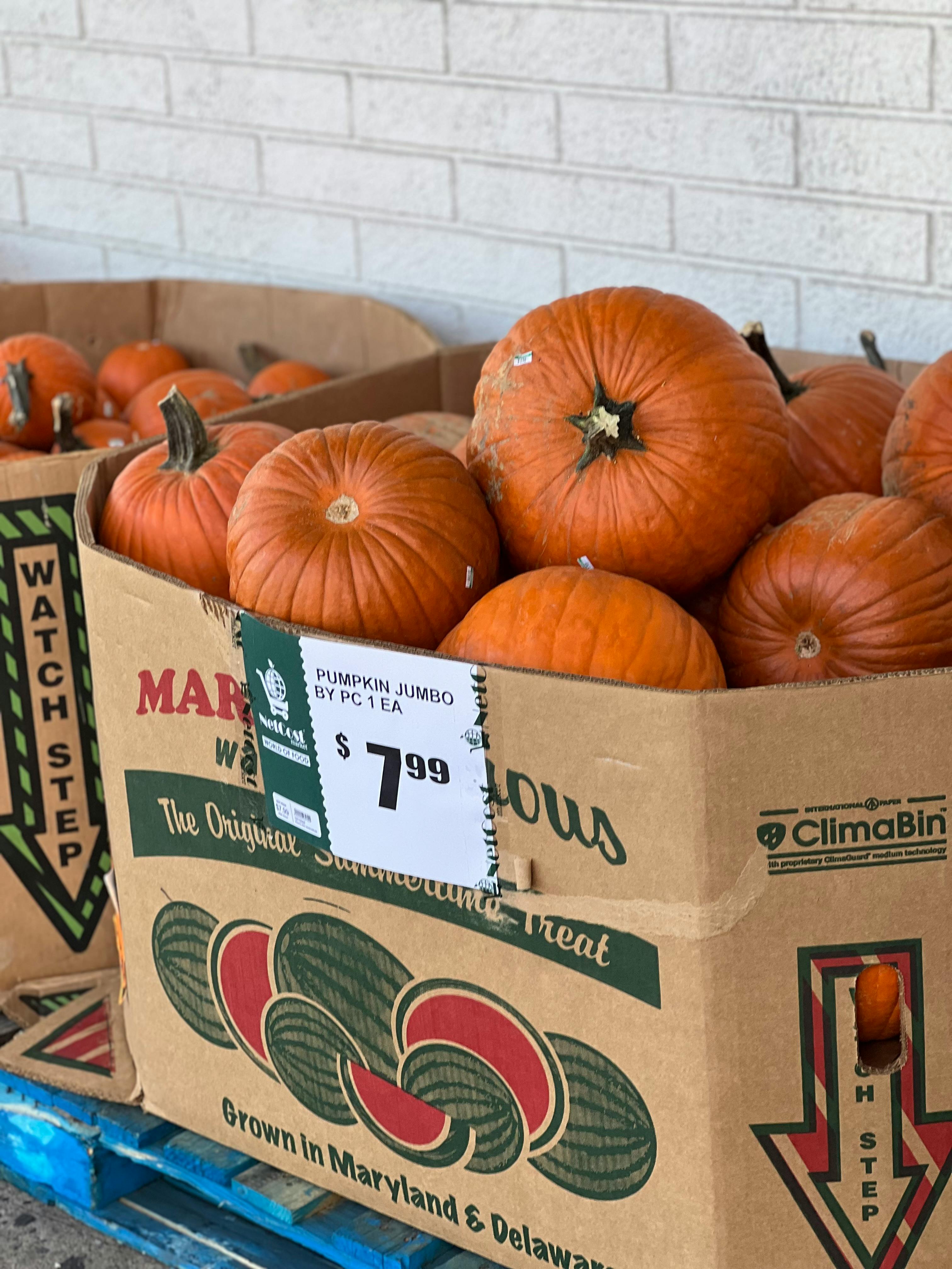 Jumbo Pumpkins for Sale in Cardboard Boxes · Free Stock Photo