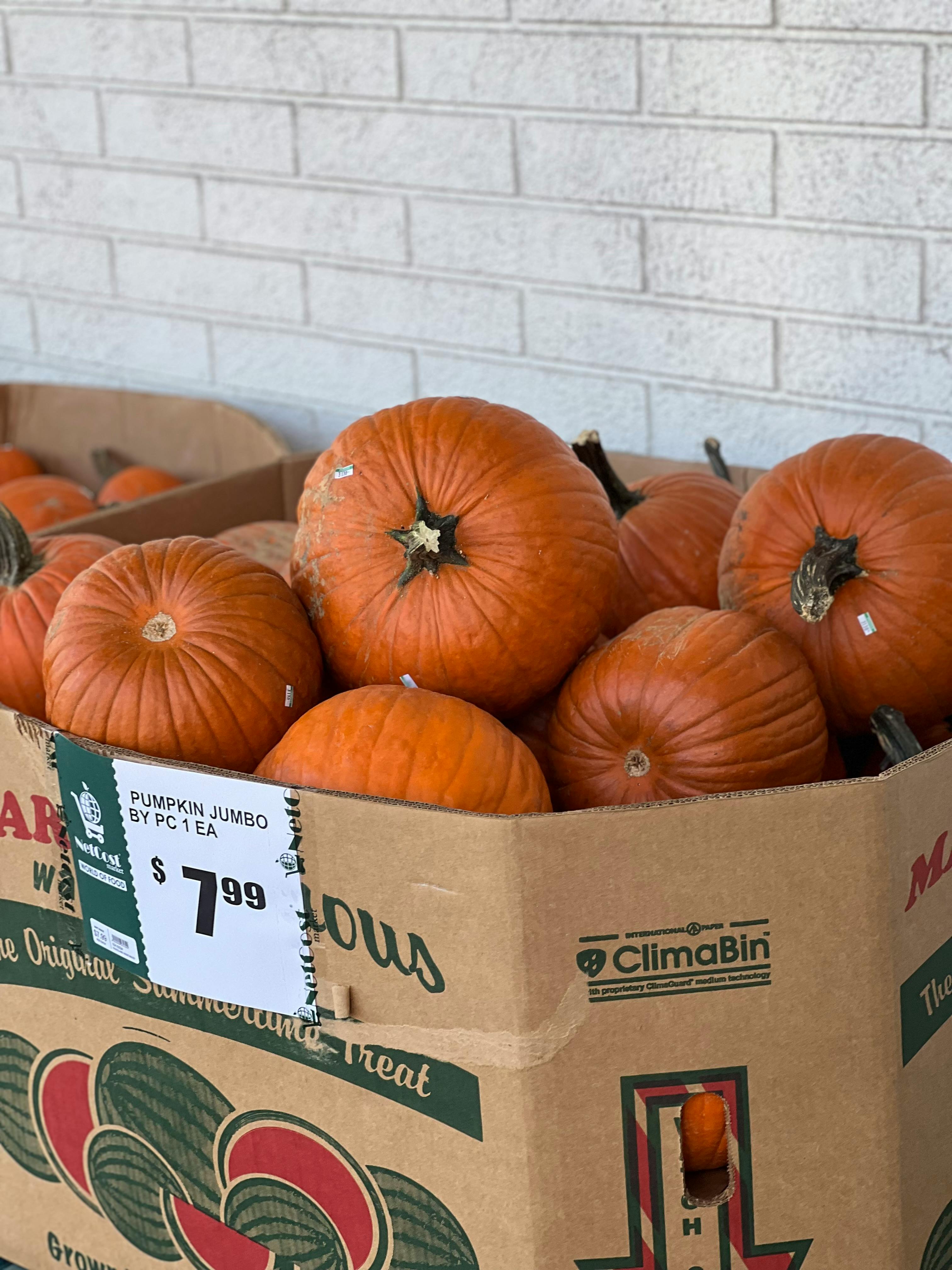 Jumbo Pumpkin Photos, Download The BEST Free Jumbo Pumpkin Stock Photos ...