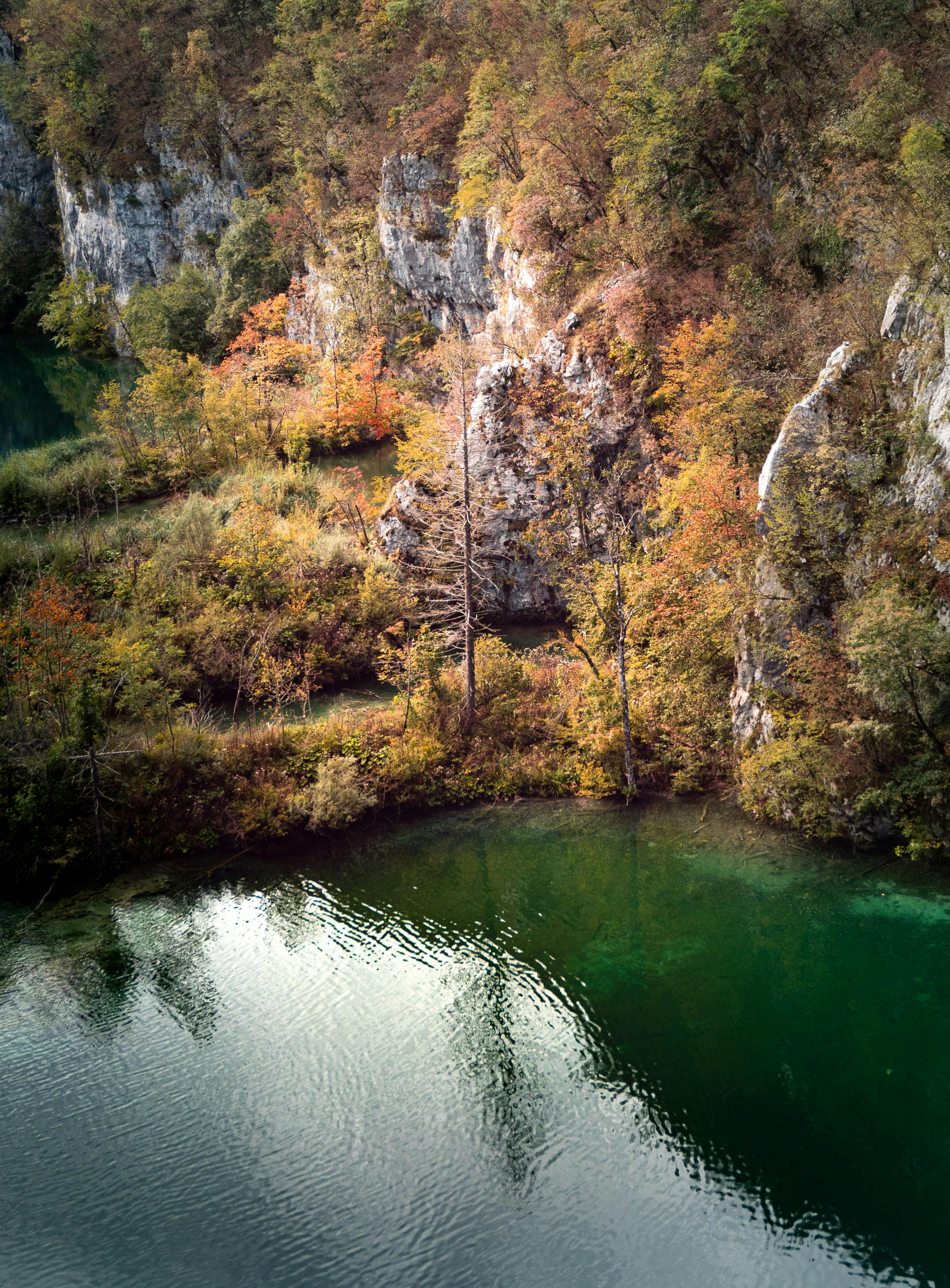 Serene Autumn Landscape with Clear Lake View · Free Stock Photo
