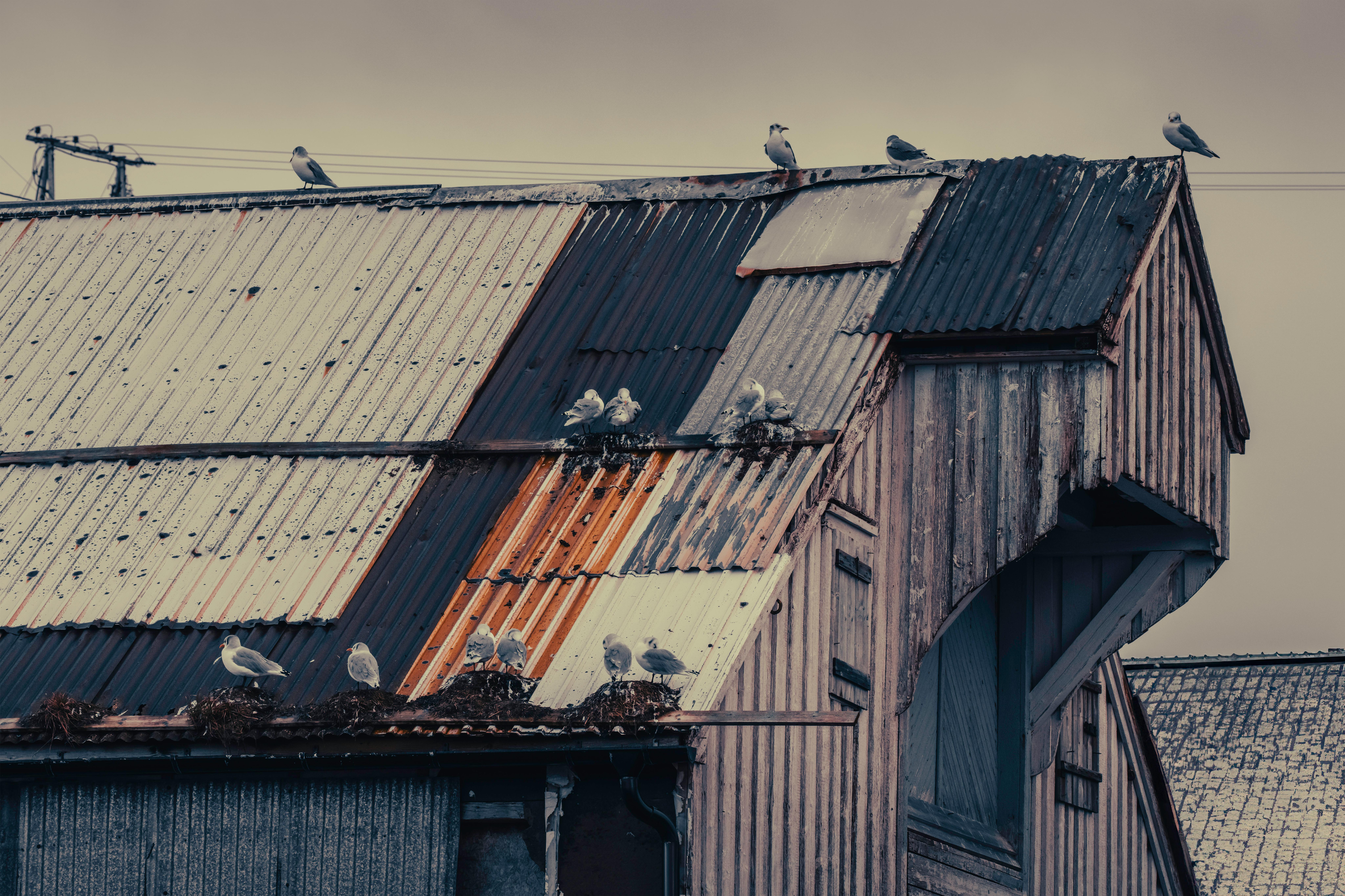 Boat Buffing Photos, Download The BEST Free Boat Buffing Stock Photos ...