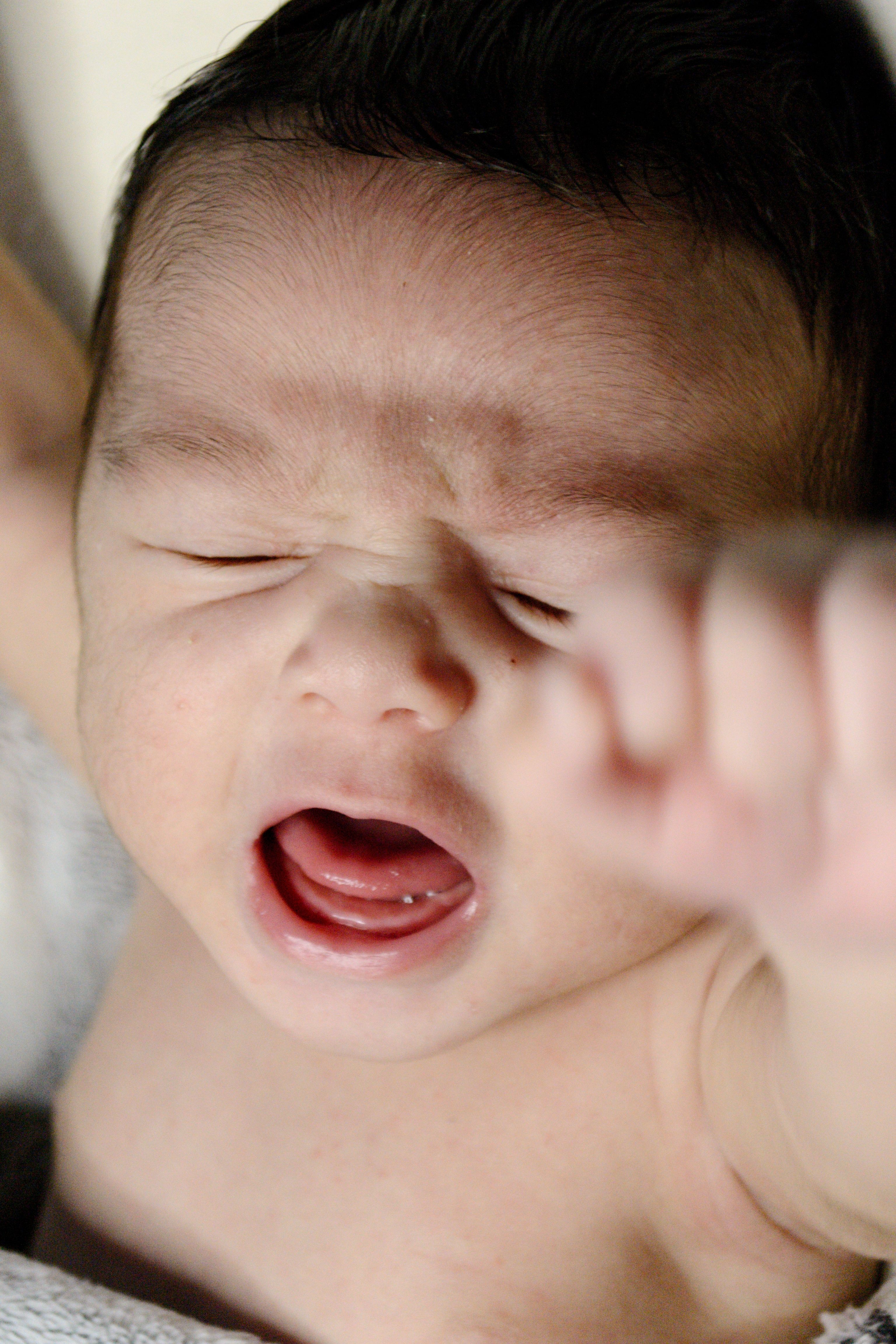 Yawning Newborn Baby Close-Up Portrait · Free Stock Photo