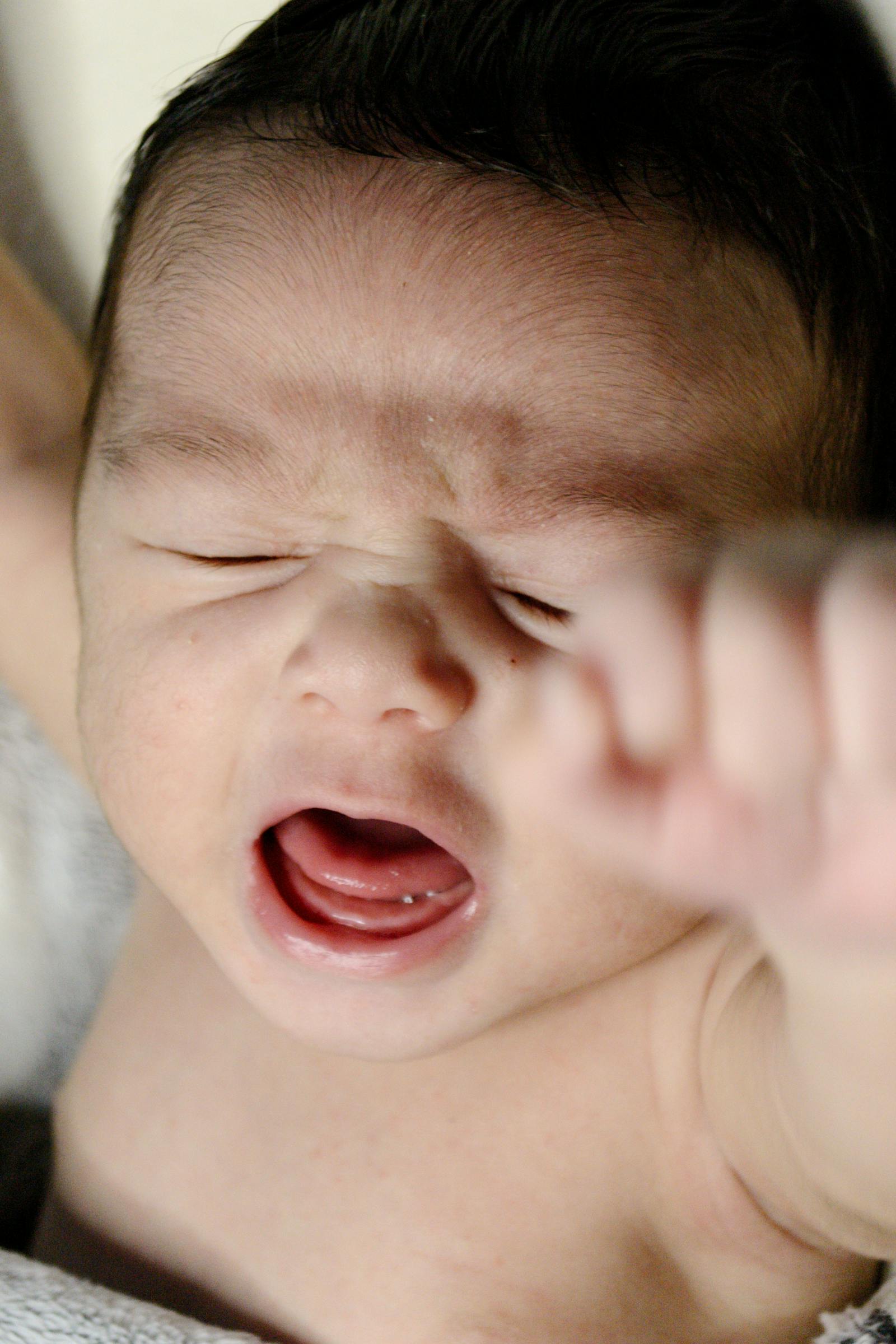 Yawning Photos, Download The BEST Free Yawning Stock Photos & HD Images