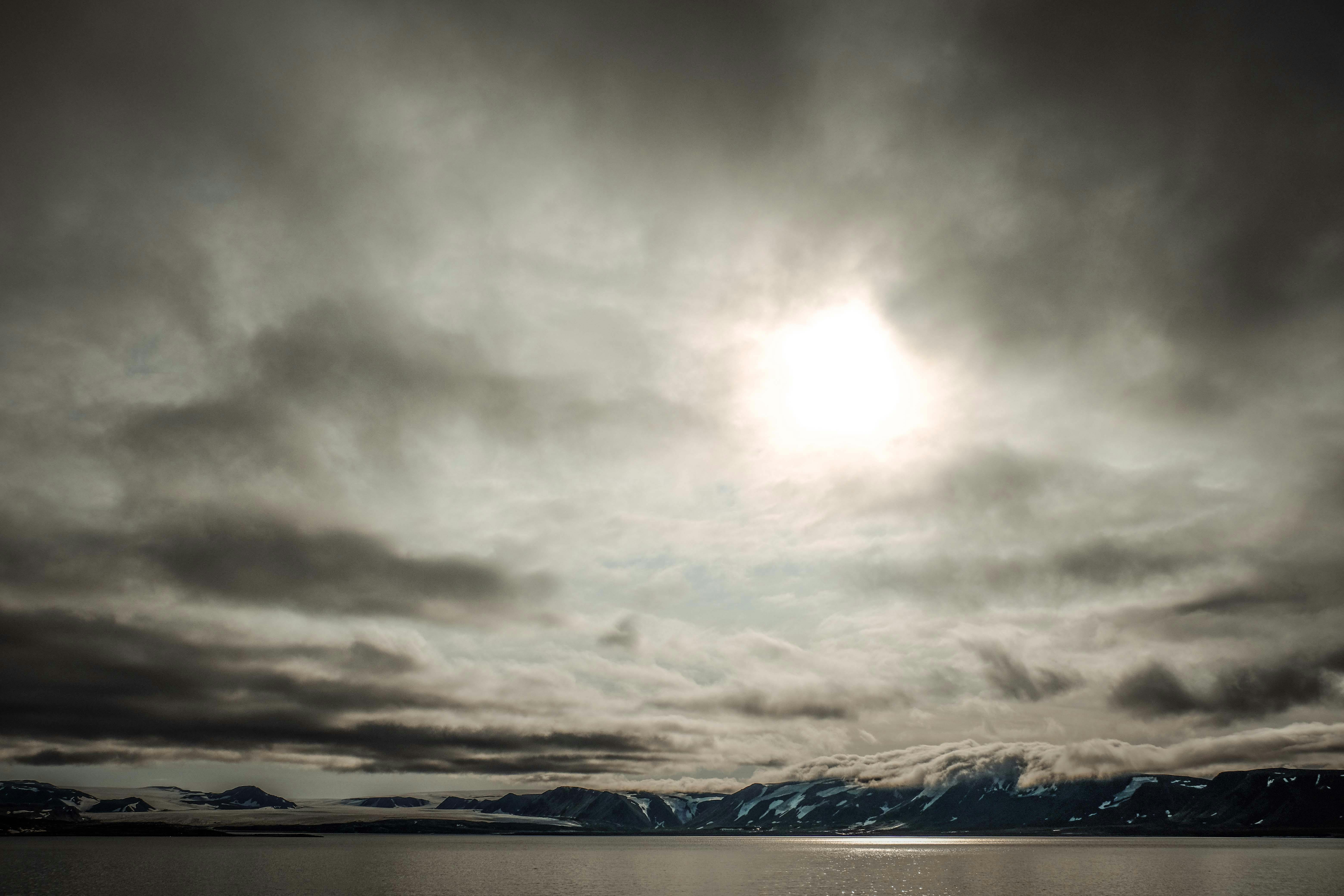 Angsa Tundra Photos, Download The BEST Free Angsa Tundra Stock Photos ...