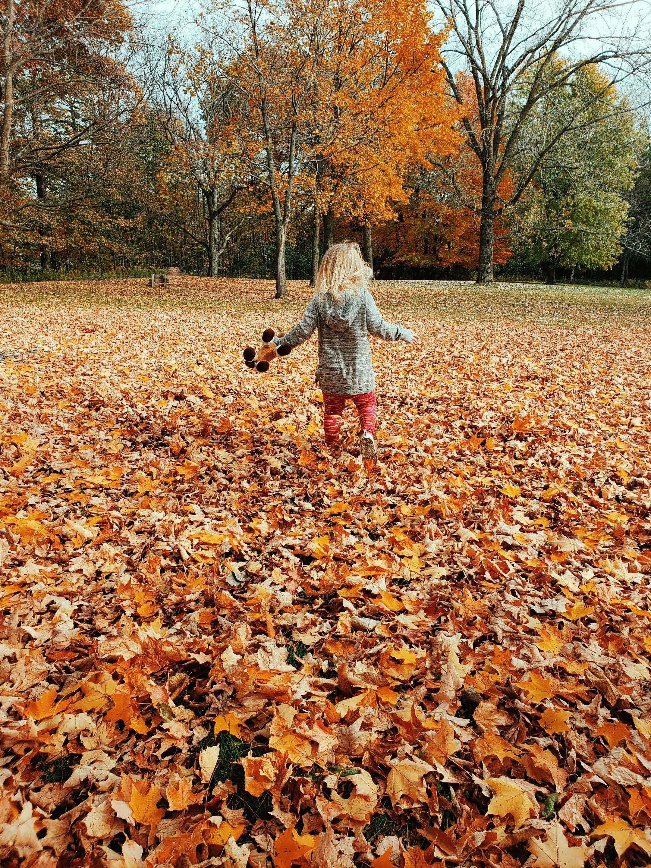 Child Enjoying Autumn Leaves in Park · Free Stock Photo