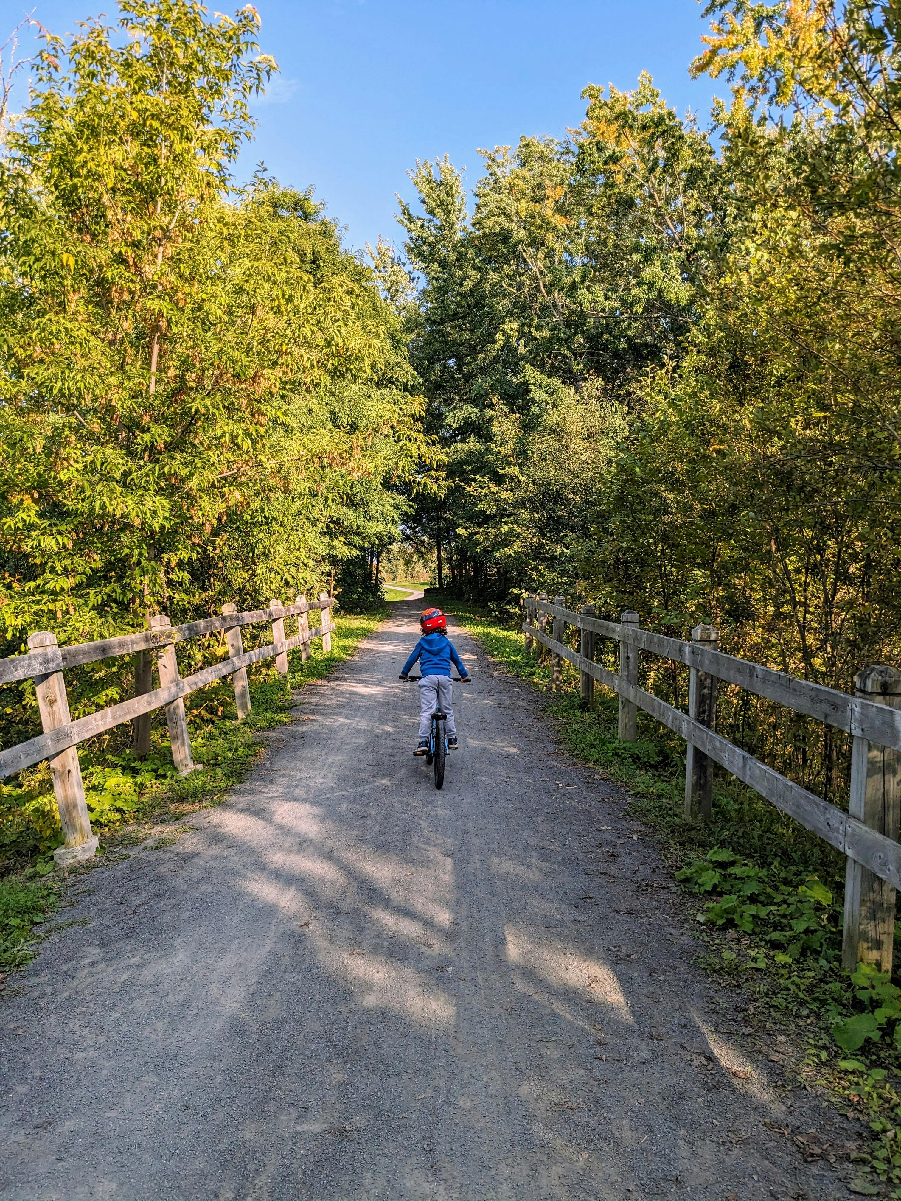 Cycling Joy Photos, Download The BEST Free Cycling Joy Stock Photos ...