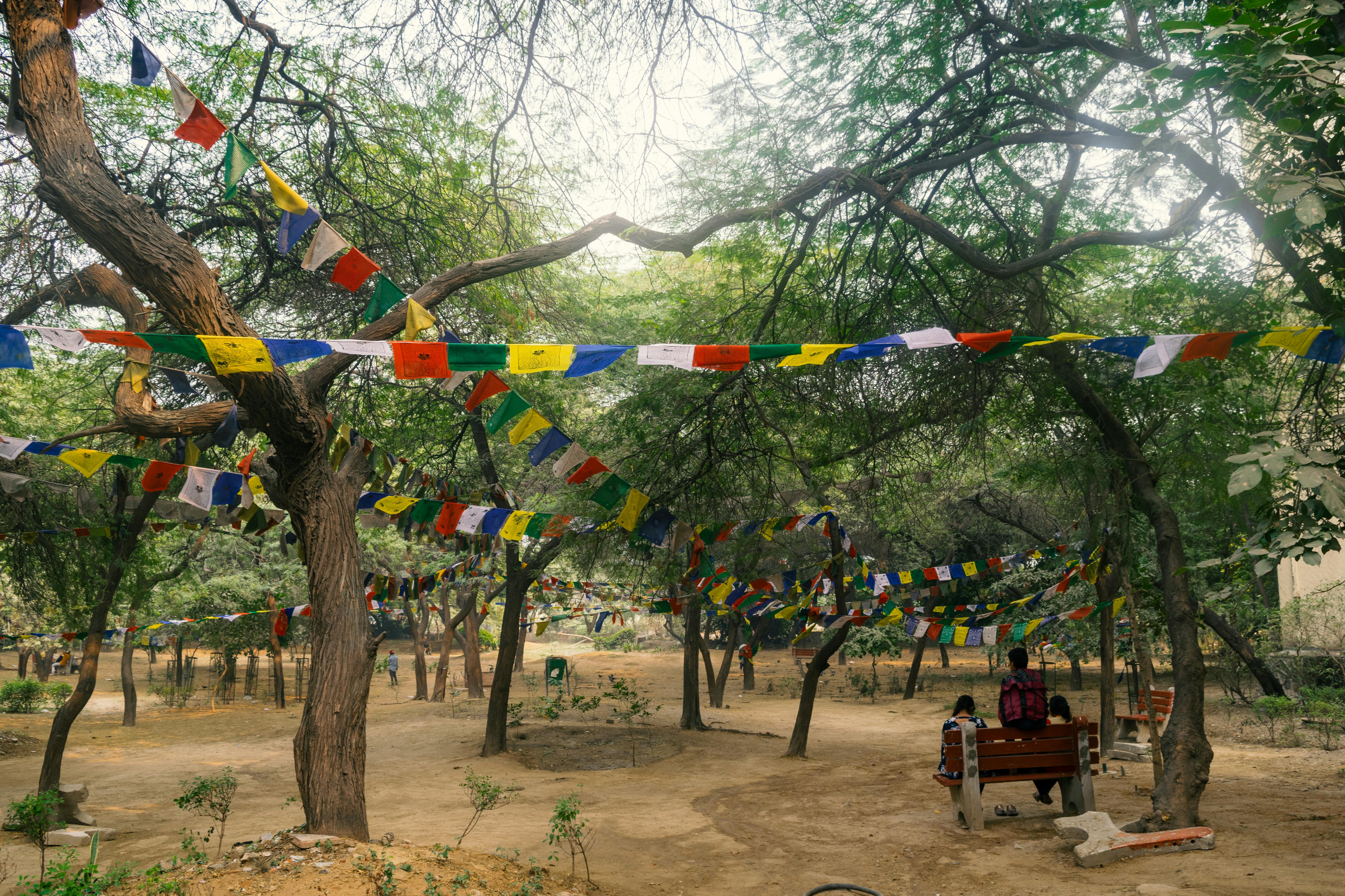 Colorful Prayer Flags in Tranquil Park Setting · Free Stock Photo