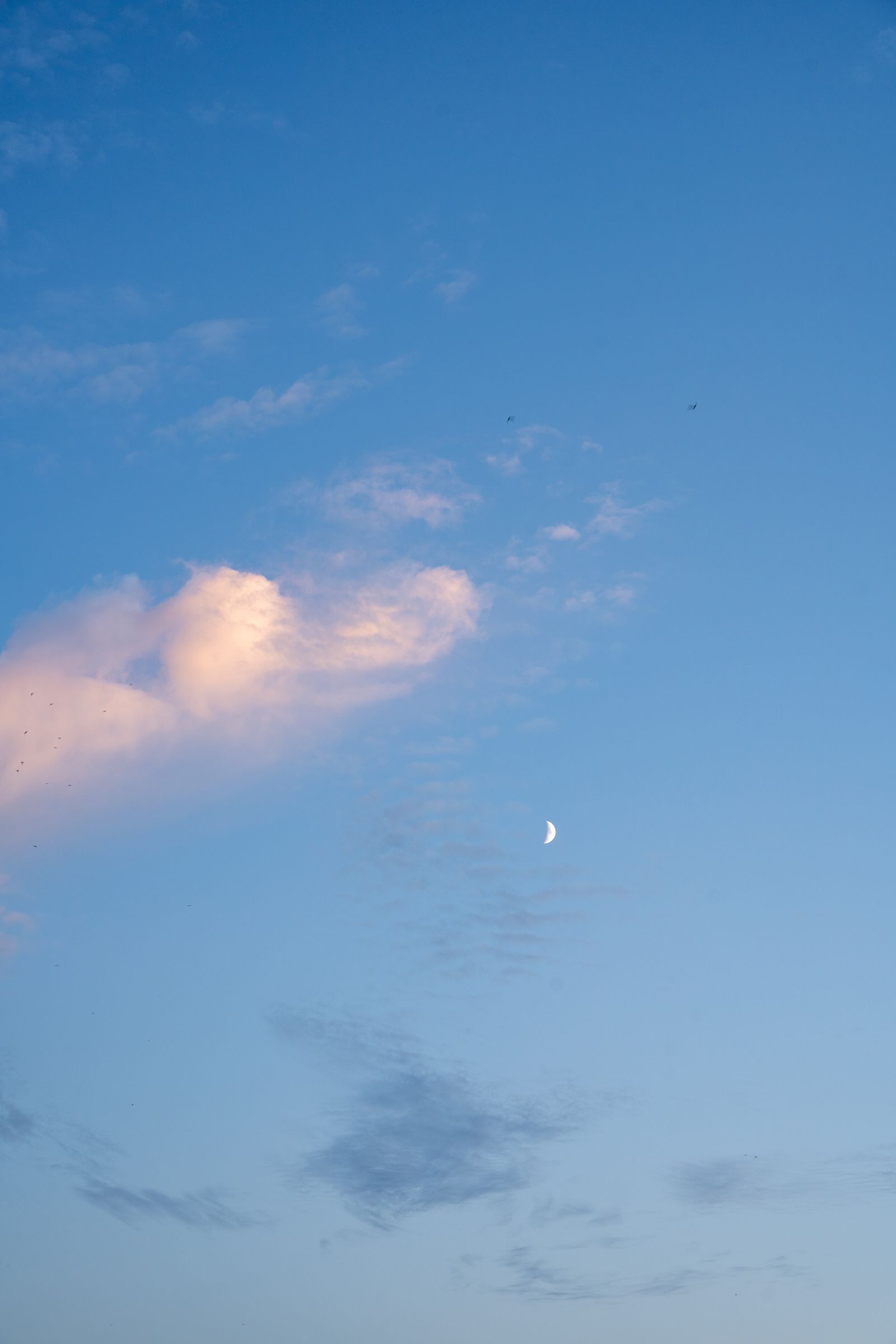 Facebook Moon Photos, Download The BEST Free Facebook Moon Stock Photos ...