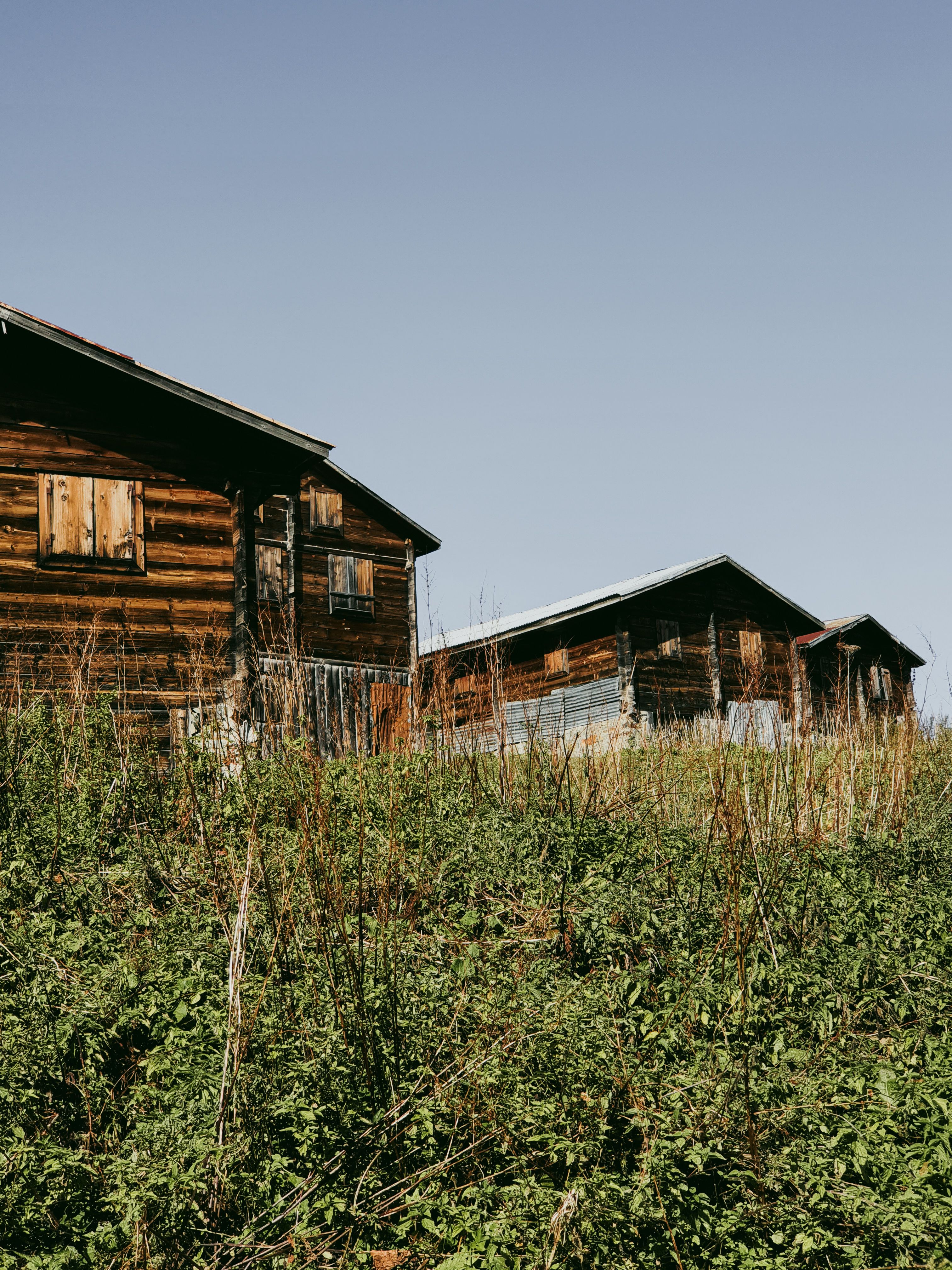 Rustic Wooden Cabins in Scenic Countryside · Free Stock Photo