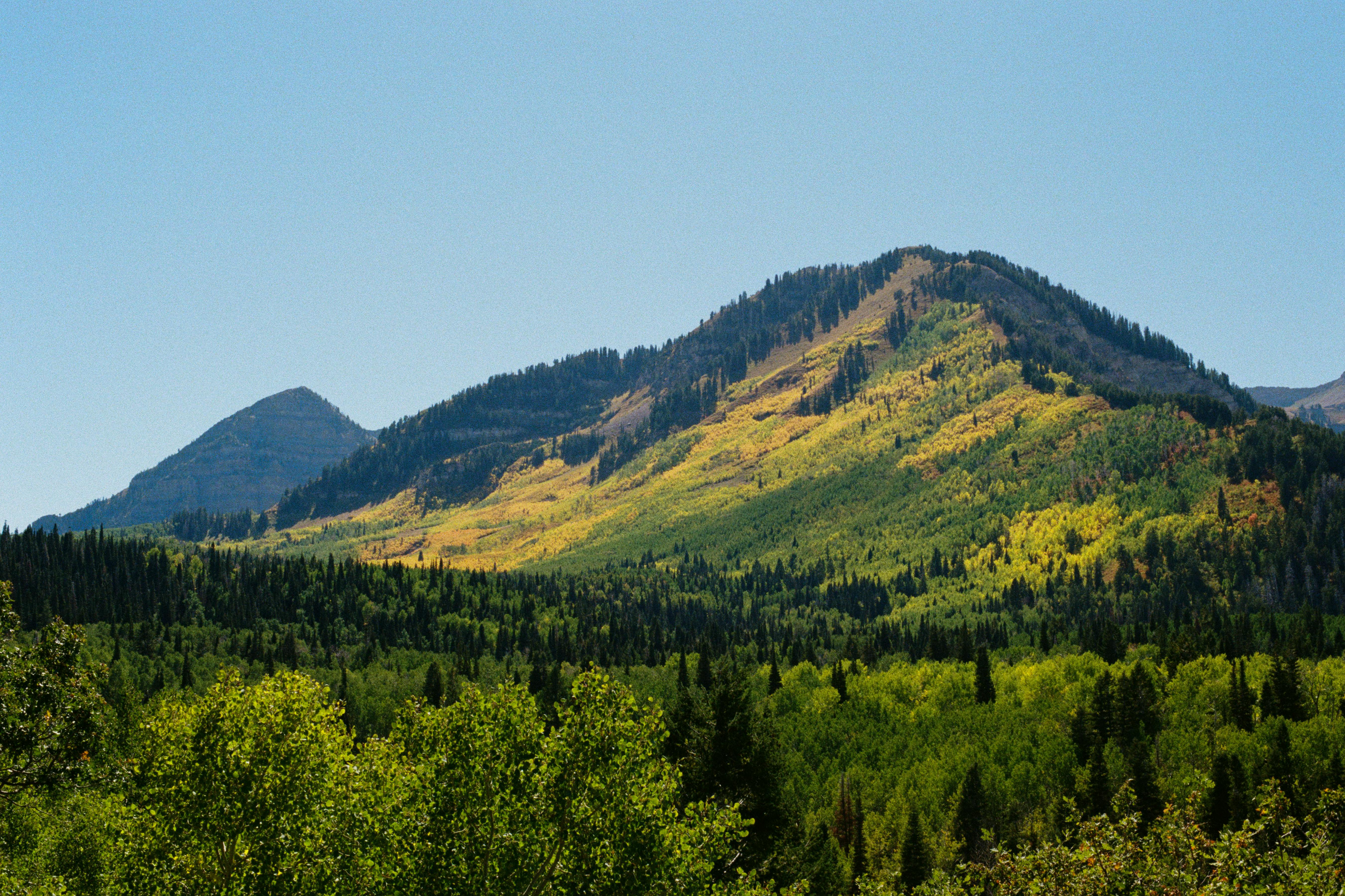 Scenic Fall Landscape in Utah Mountains · Free Stock Photo