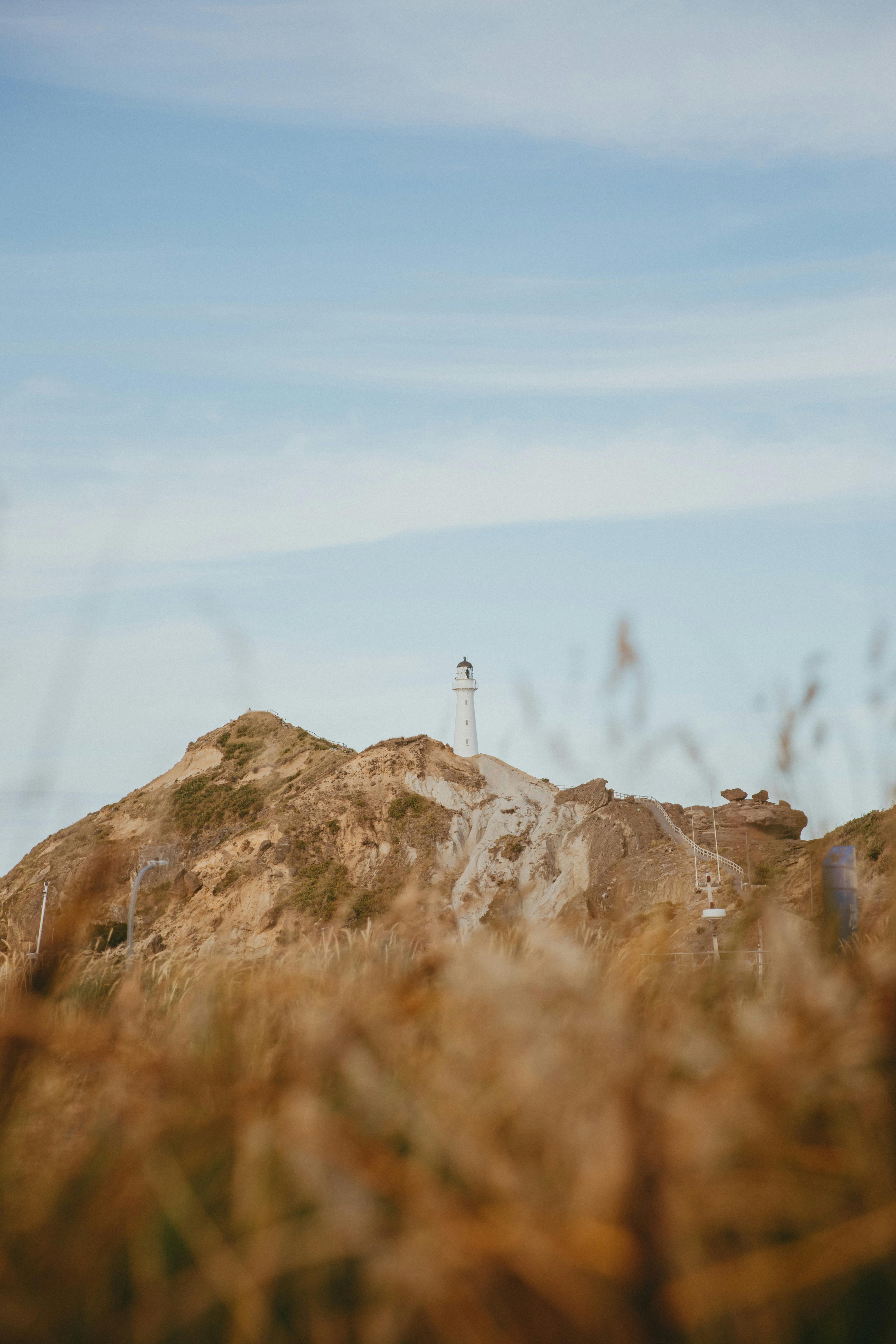 Maják Castlepoint Na Novém Zélandu · Základová fotografie zdarma