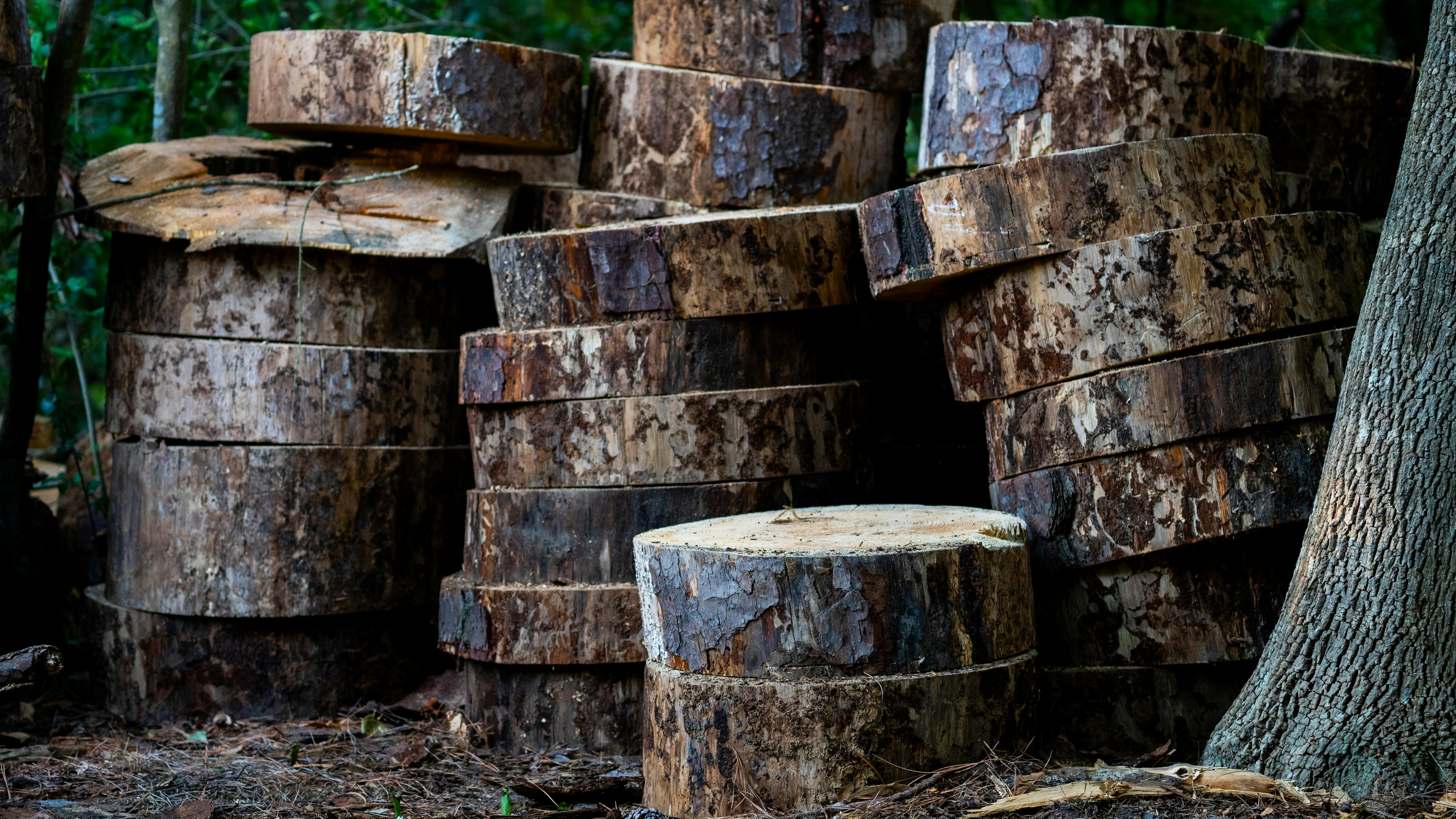 Logging Mode Photos, Download The BEST Free Logging Mode Stock Photos ...