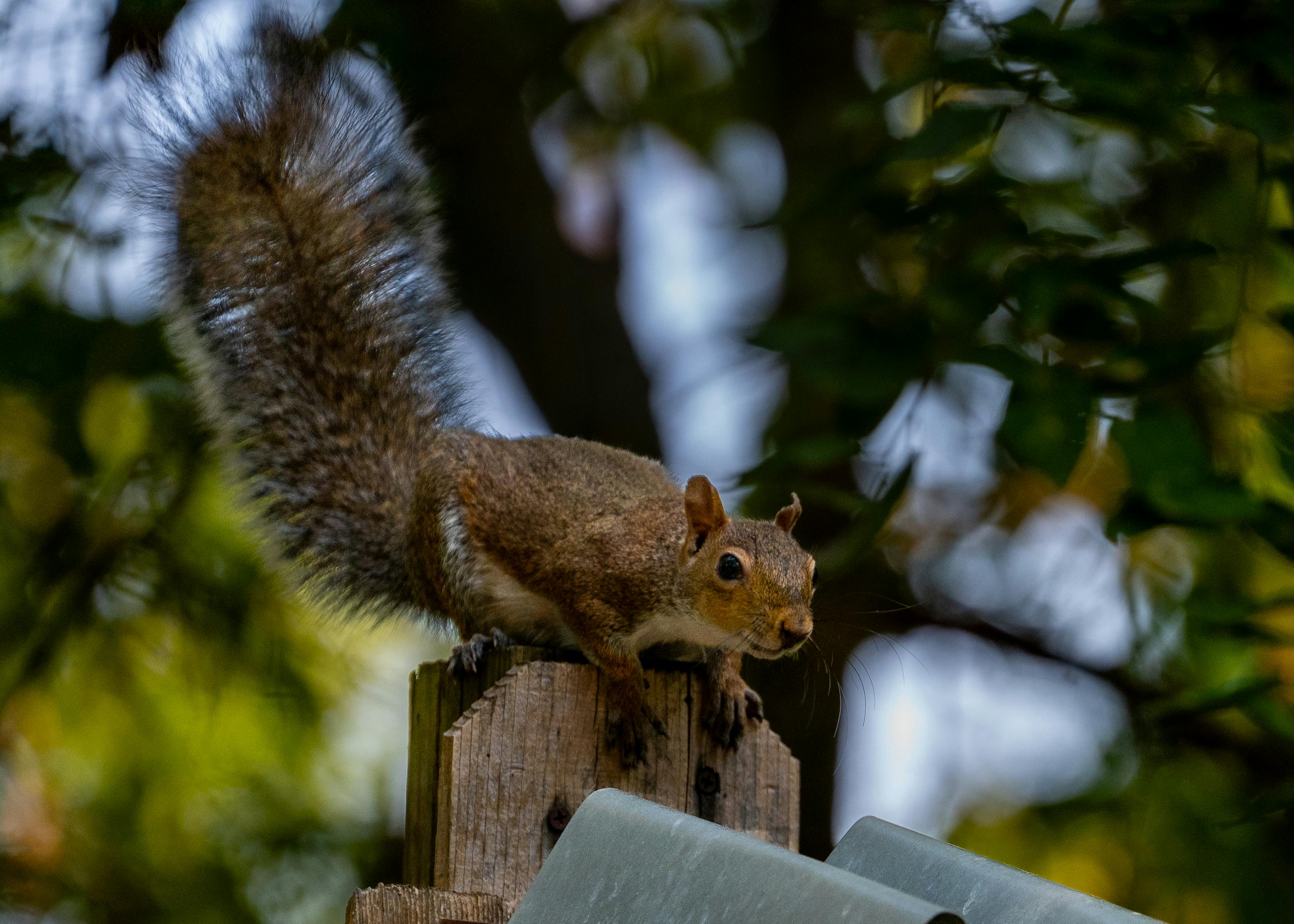 100.000+ melhores imagens de Post Receiving Books · Download 100% ...